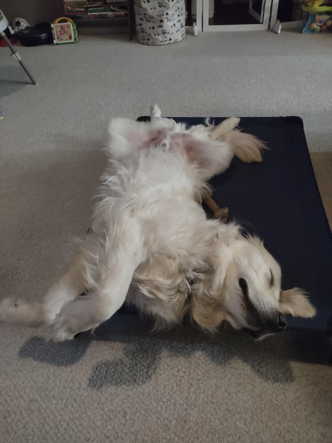 Sweet dreams, sweet weirdo. | Scrolller