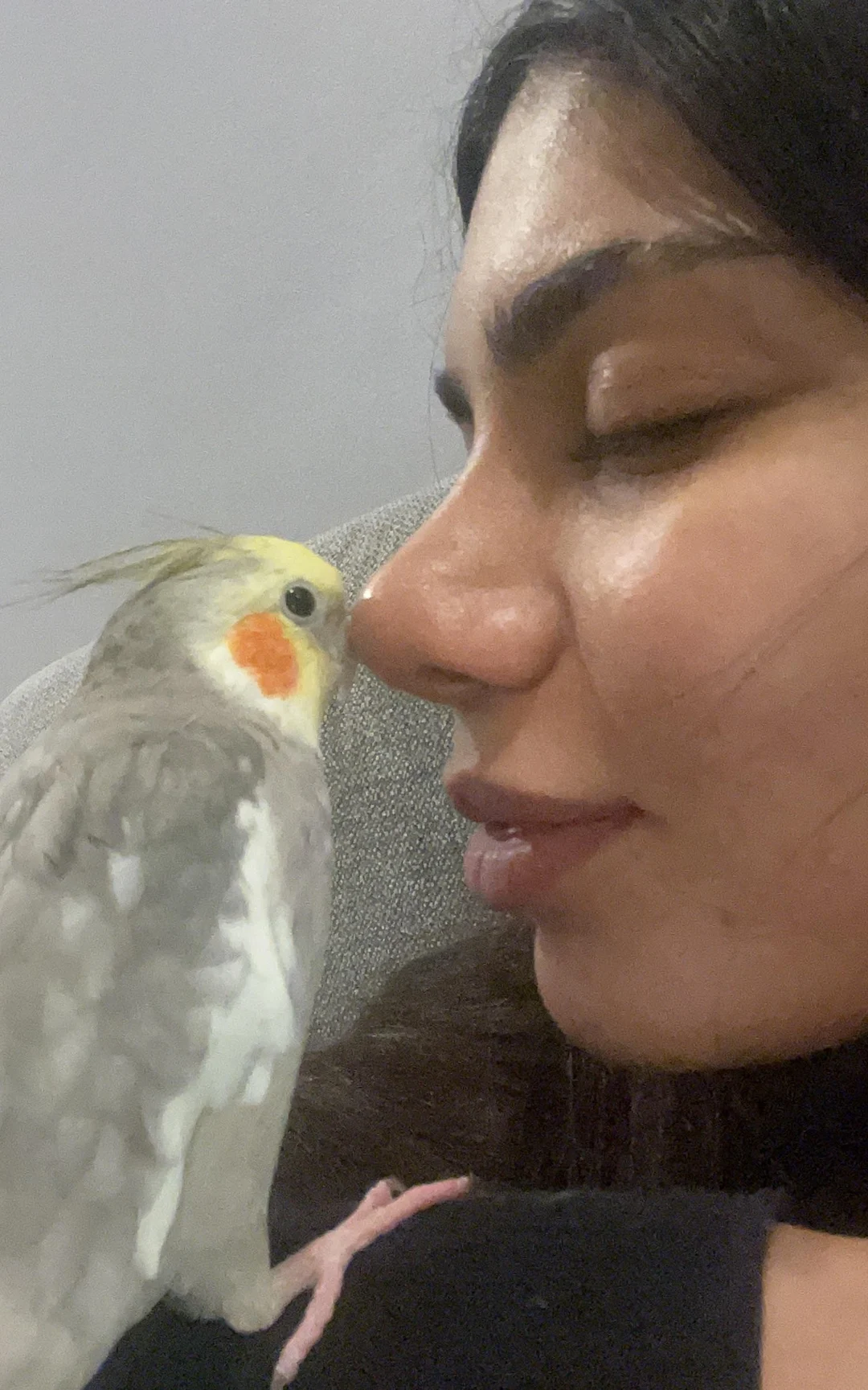 Precious little birb💘 | Scrolller