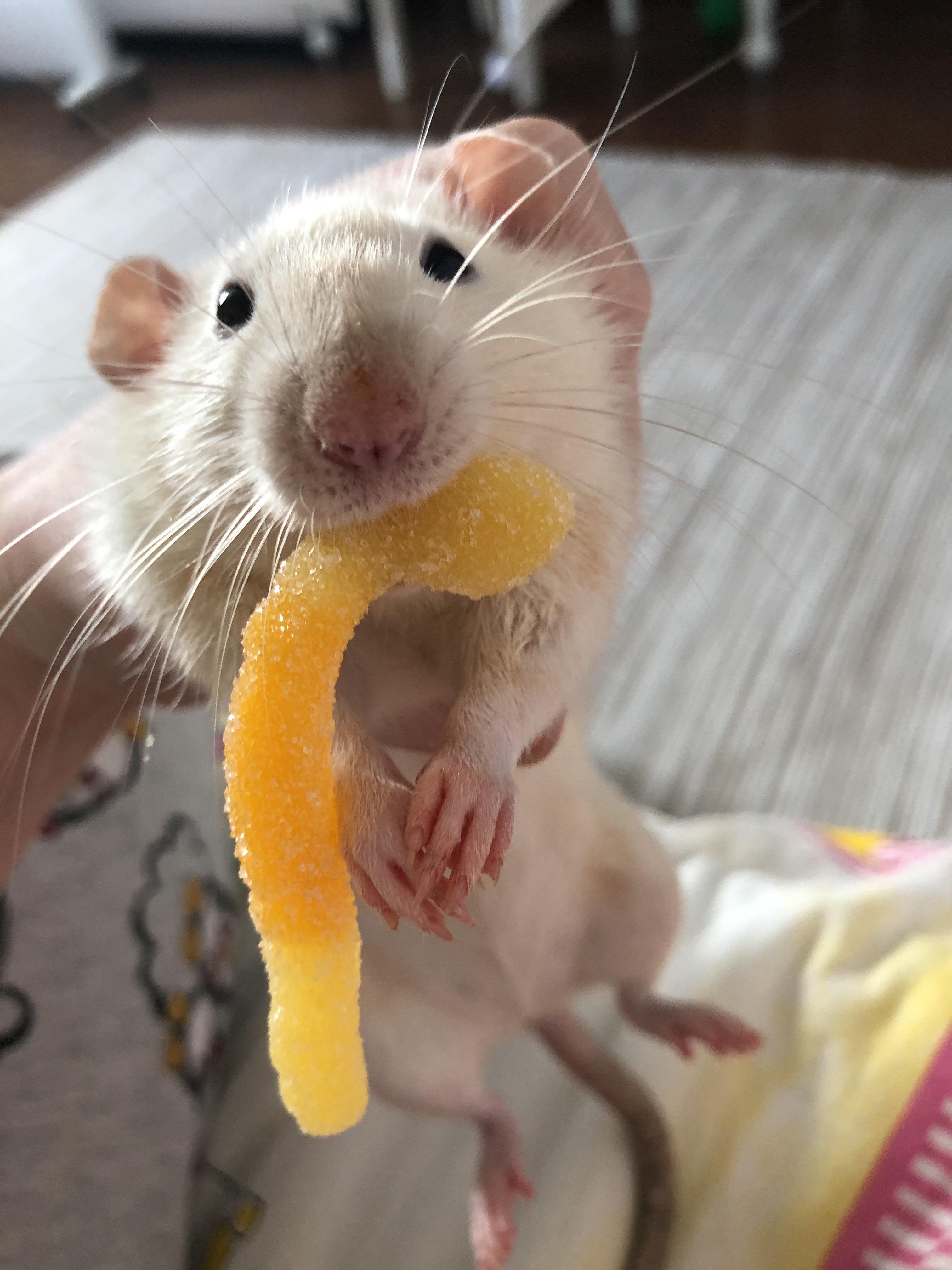 Sweet tooth | Scrolller