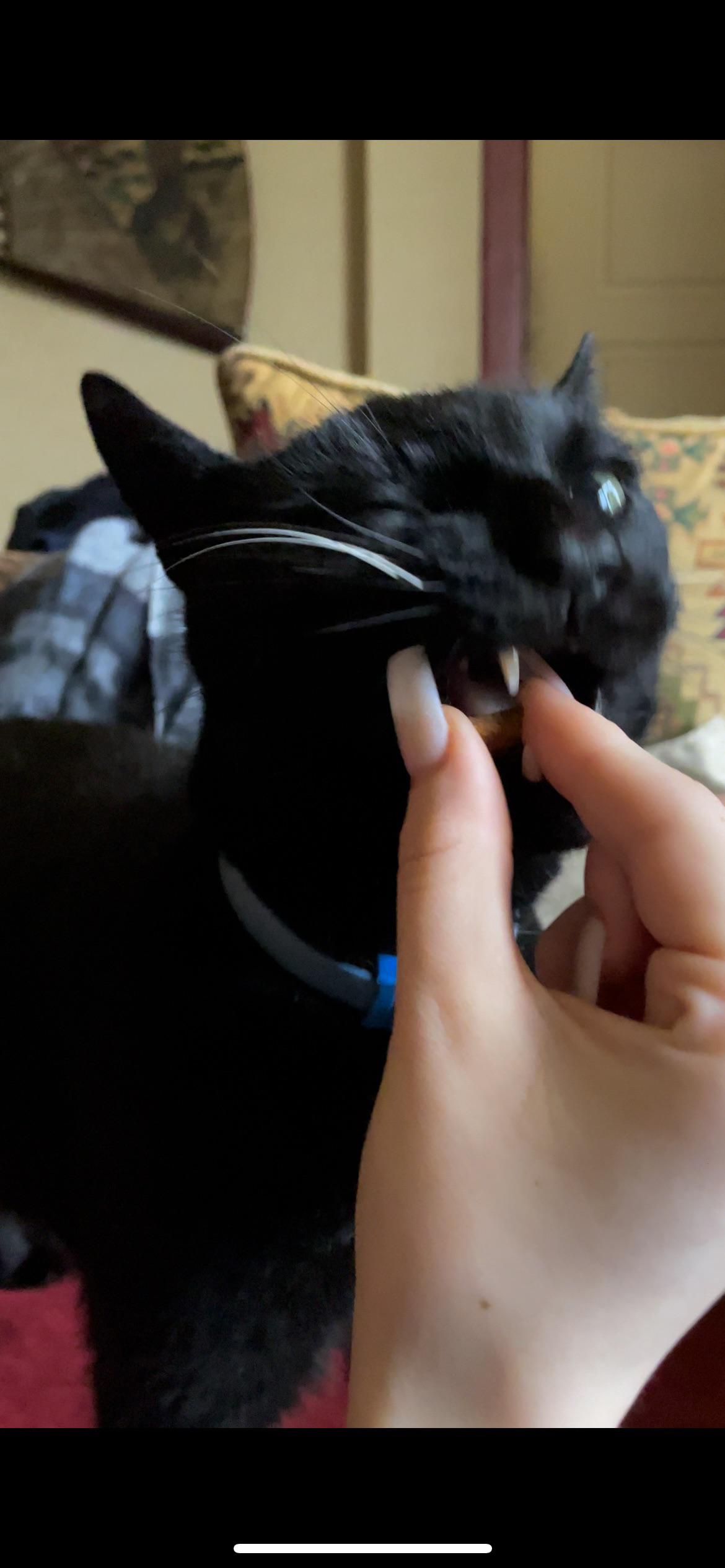 Scrunge bean | Scrolller