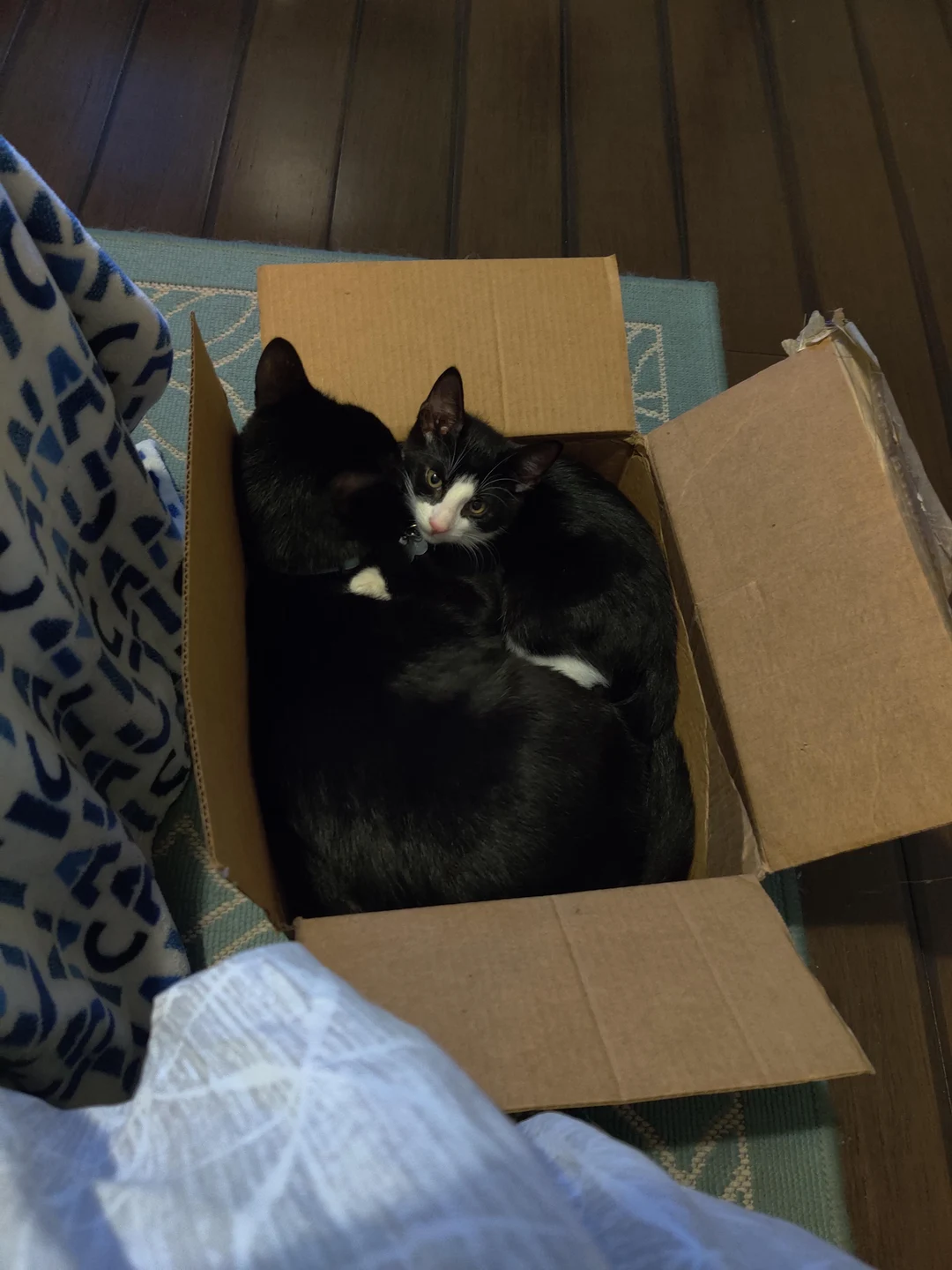 If it fits, it ships!!. | Scrolller