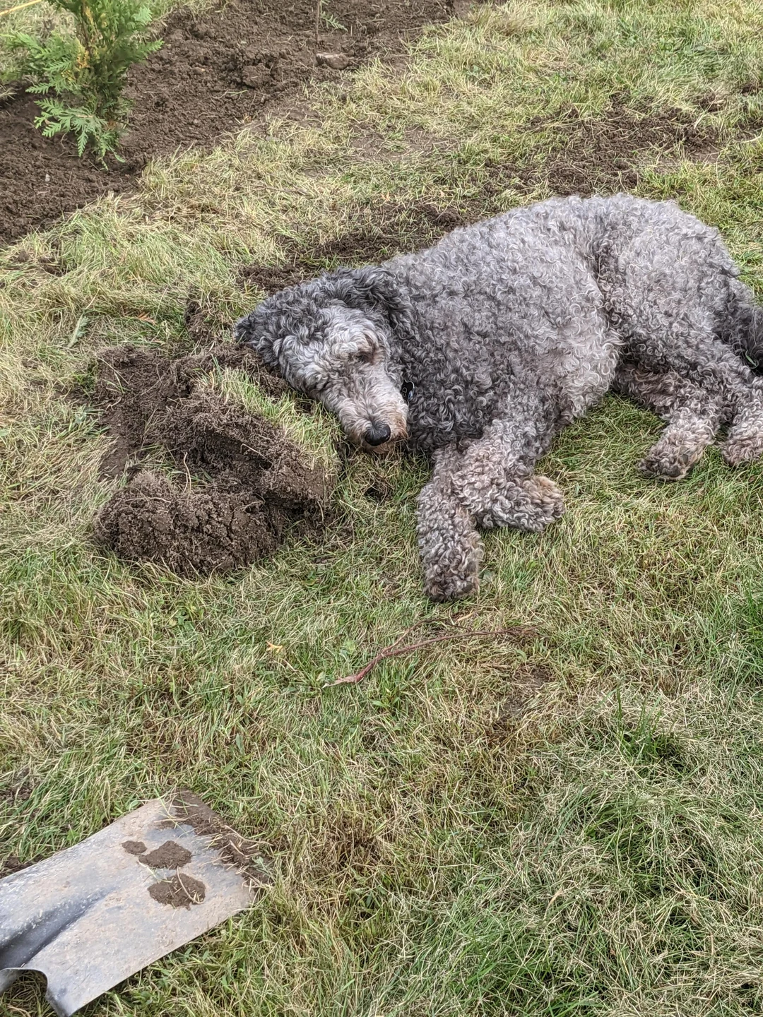 Dirt nap | Scrolller