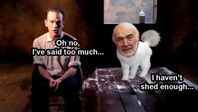 I thought that I heard you scratching | Scrolller