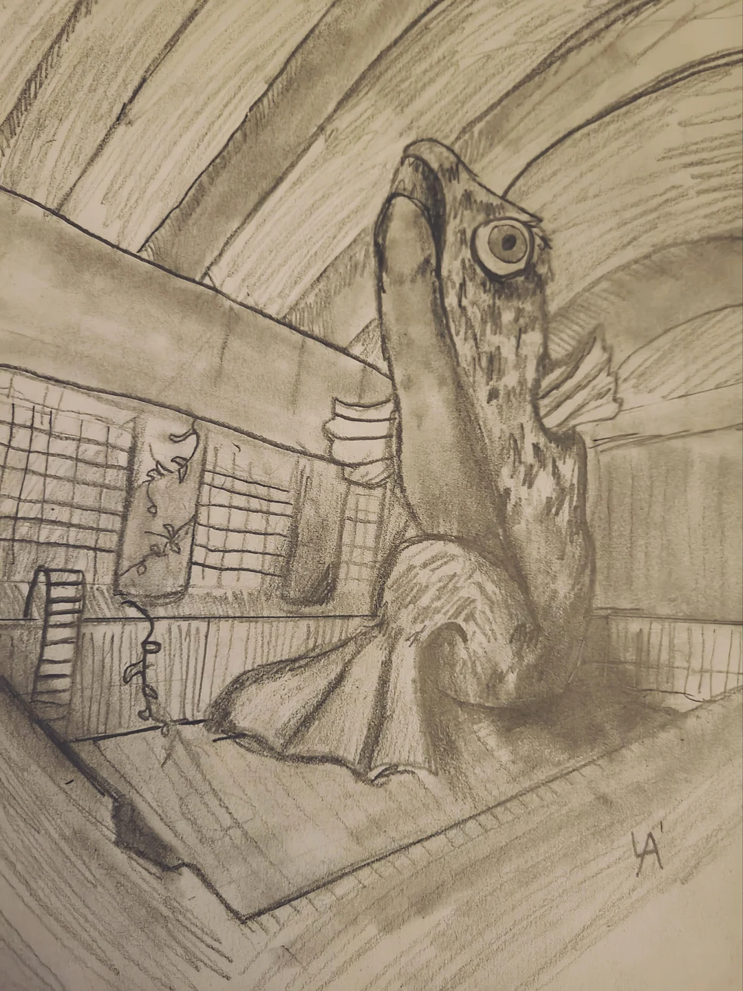 Pool's Closed | Scrolller