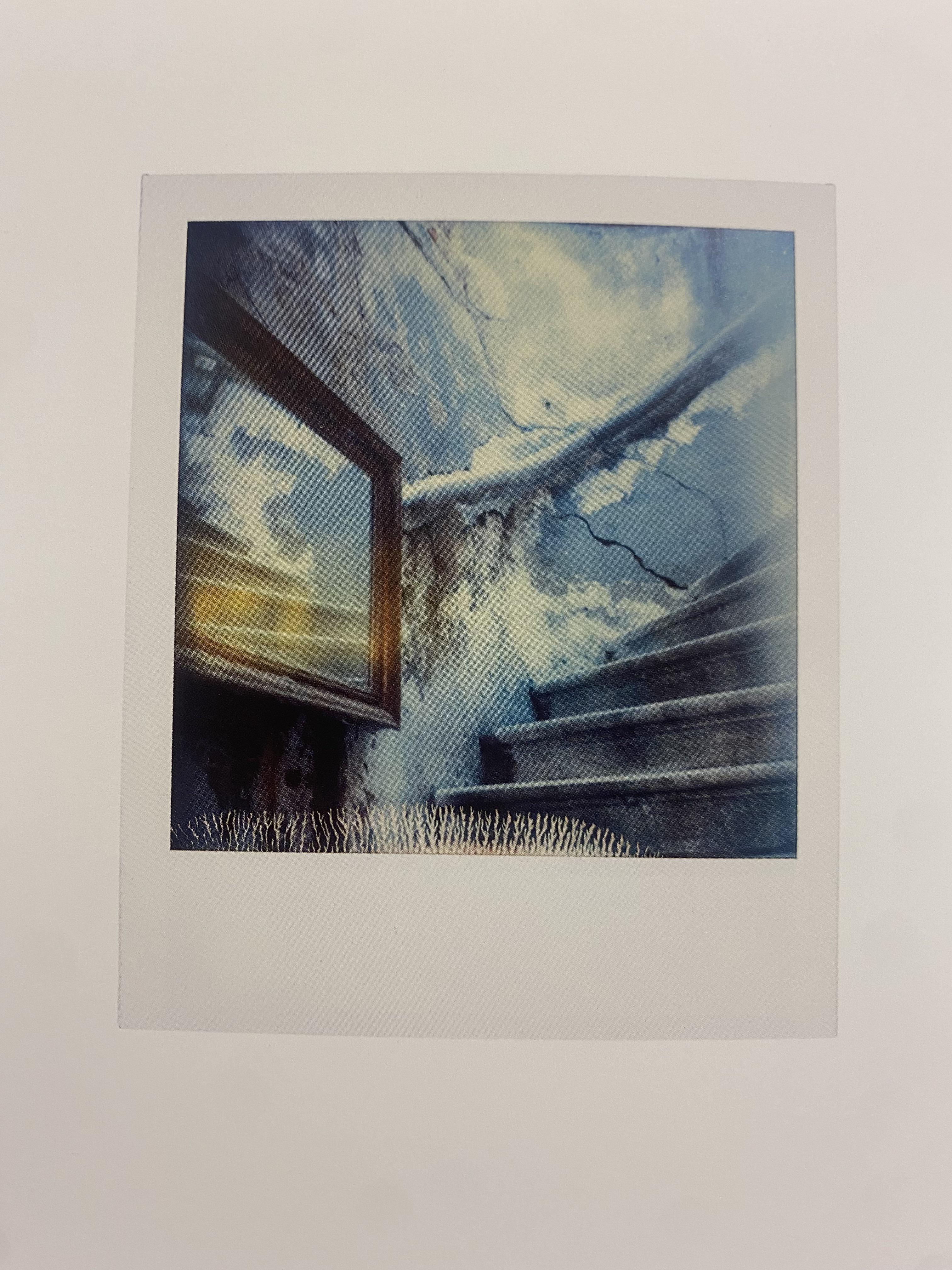 Found this image of a Polaroid in a book today. Has anyone an idea how these mold like ...