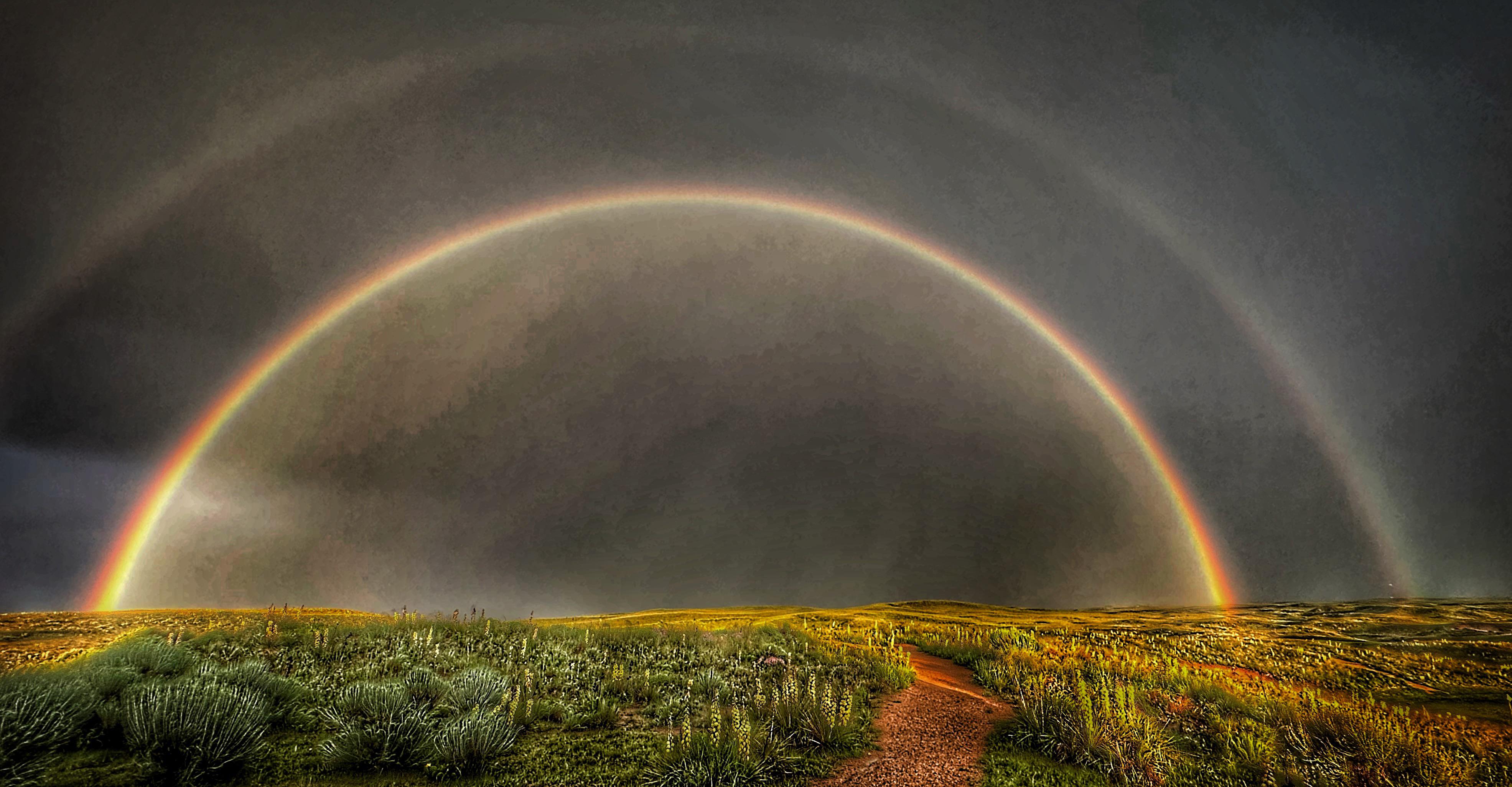 Follow the yellow brick road | Scrolller