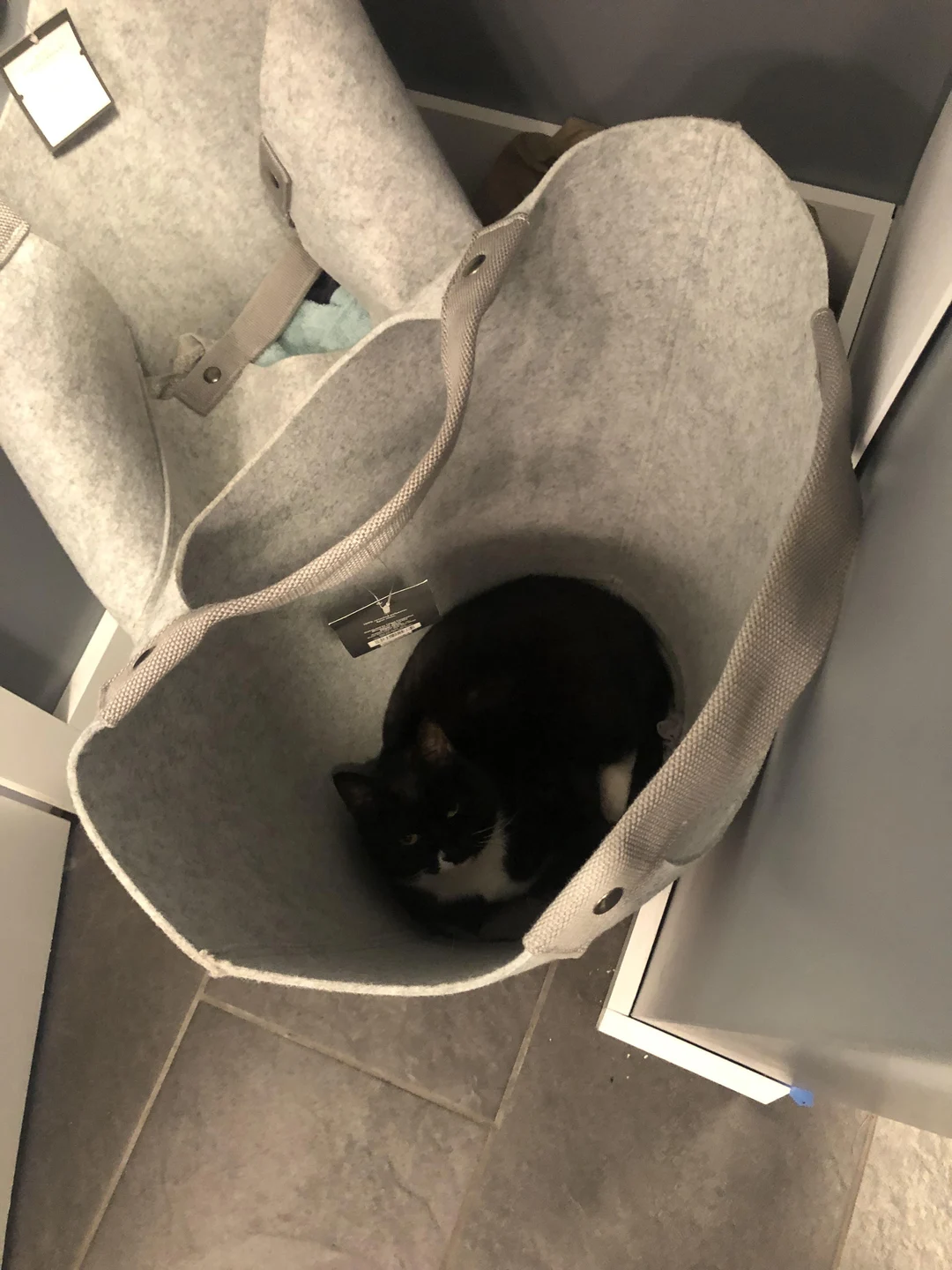 Laundry basket trap | Scrolller