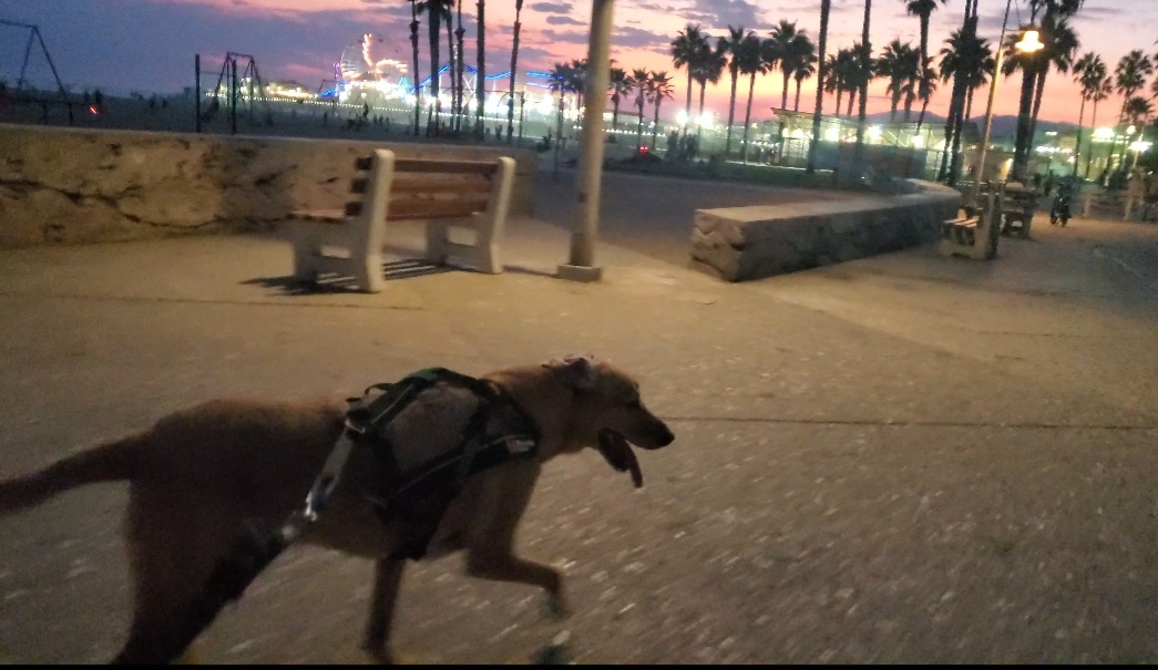Night run on the boardwalk during the heat wave | Scrolller