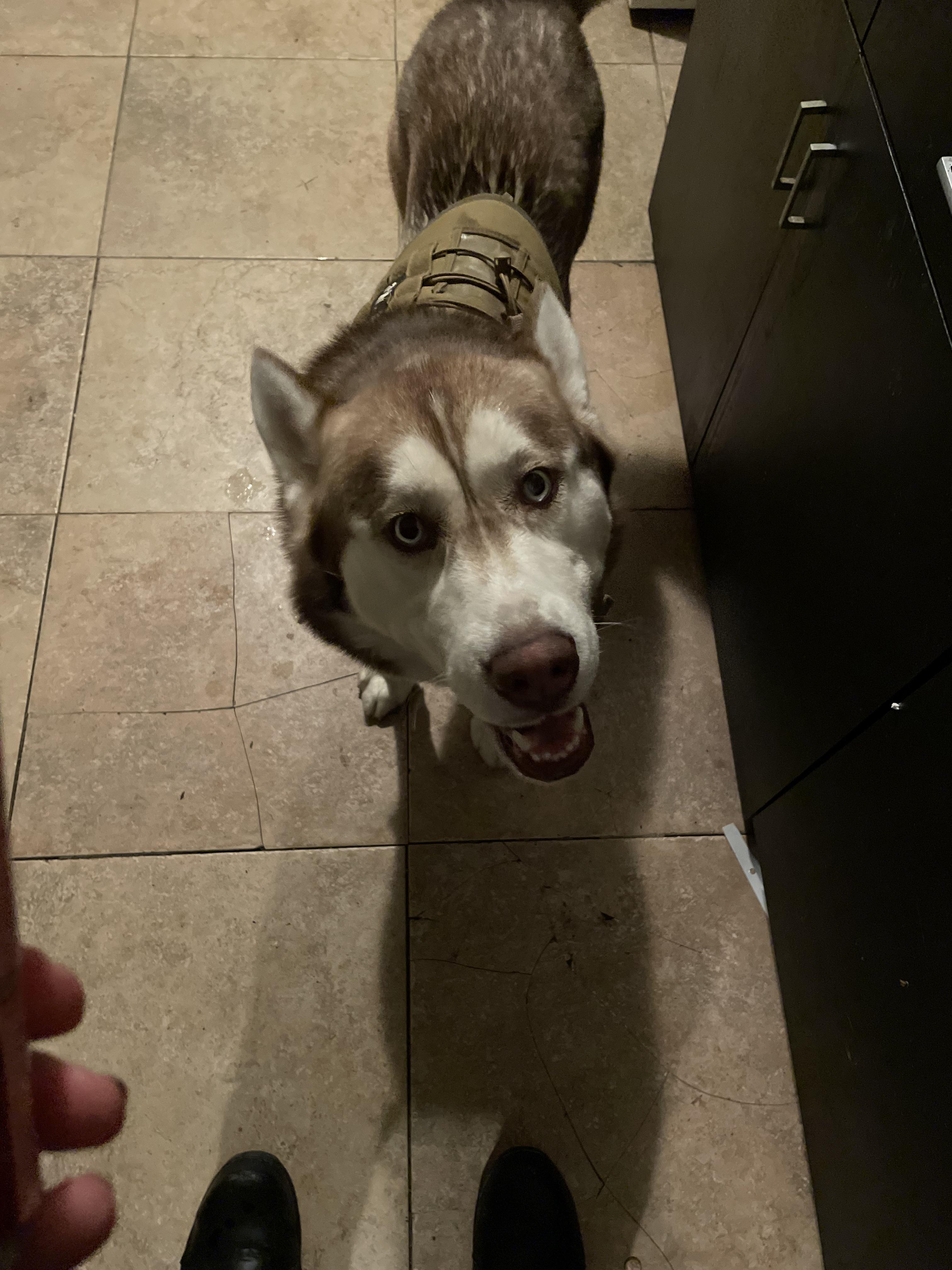 Kitchen helper | Scrolller