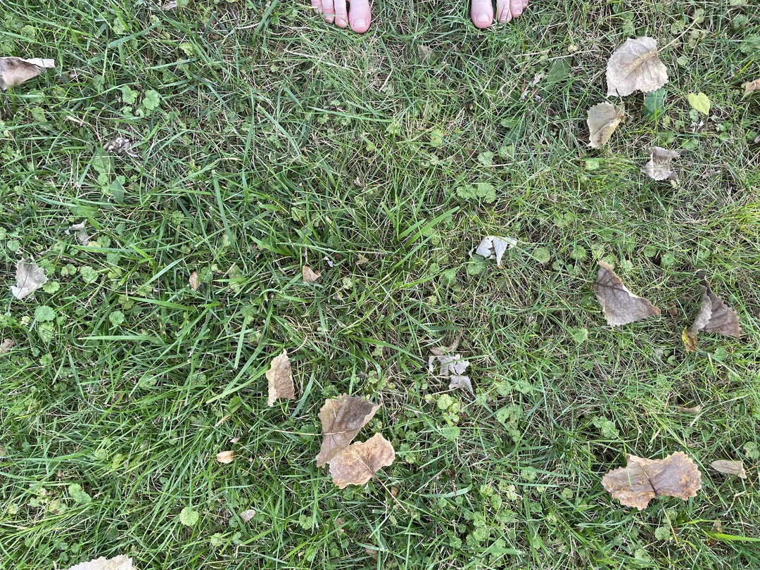 Find the Hemp Wick + Free Grippers | Scrolller