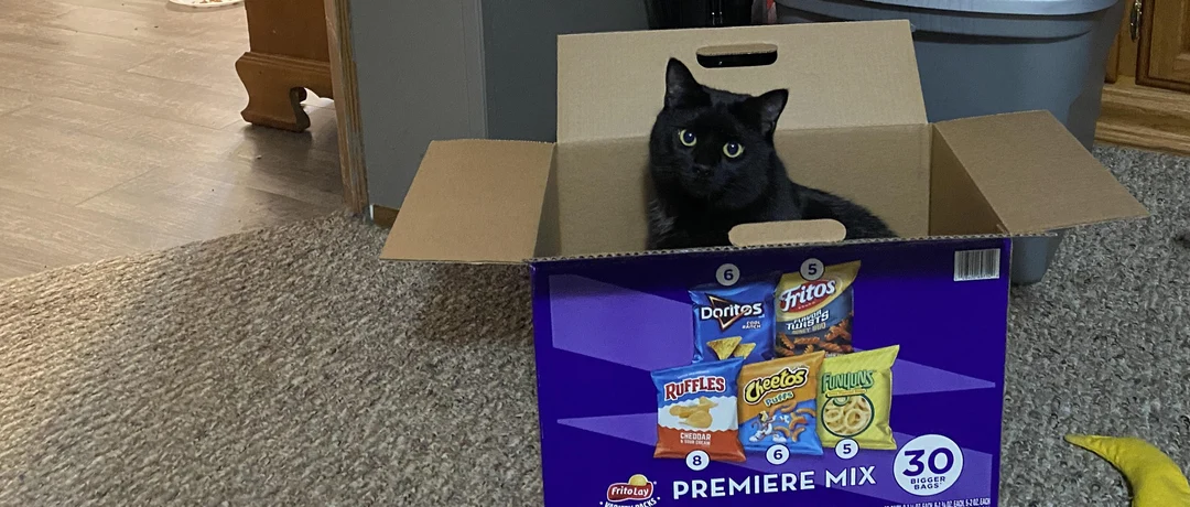 Anyone know what flavor of chips this is? | Scrolller