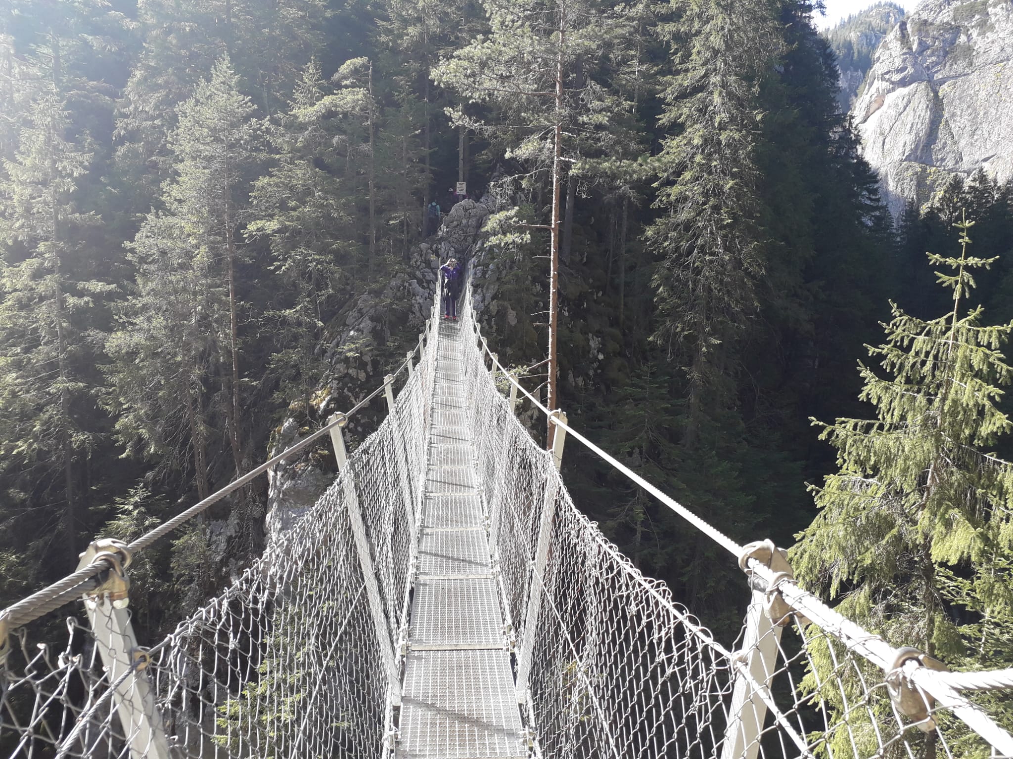 Suspended bridge. Romania | Scrolller