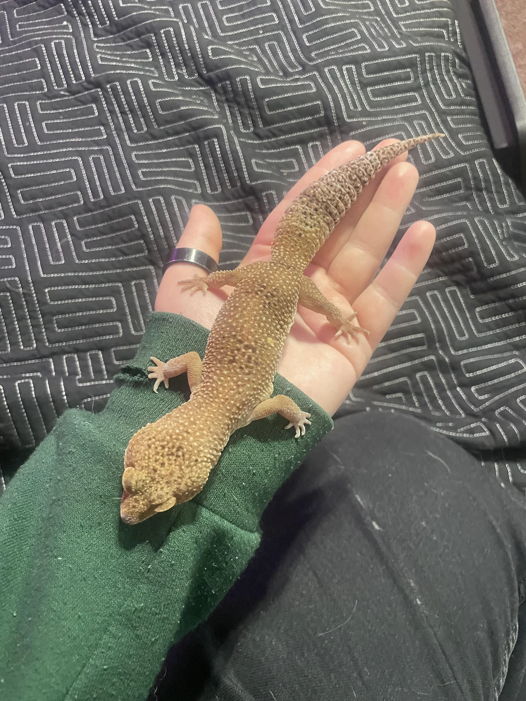 Any ideas on this big lady’s morph? | Scrolller