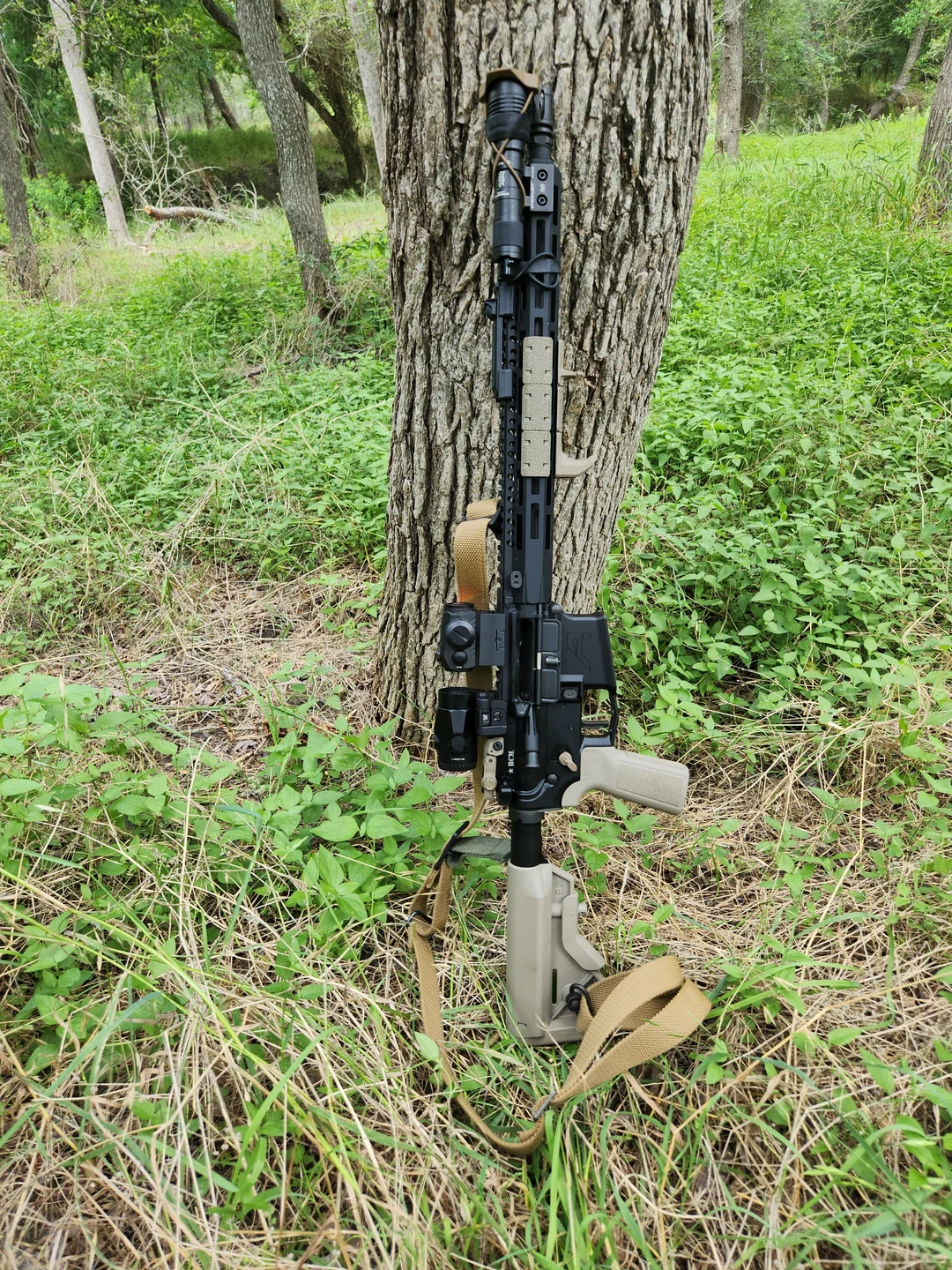 Touched grass today | Scrolller