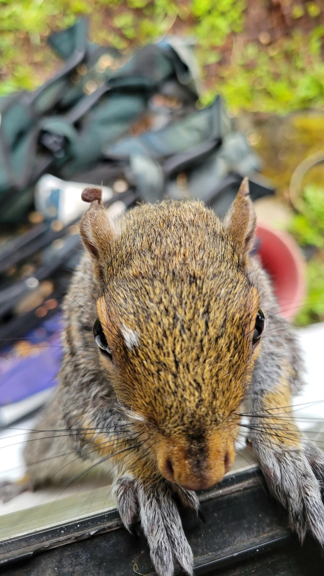 just hanging out with Bill | Scrolller