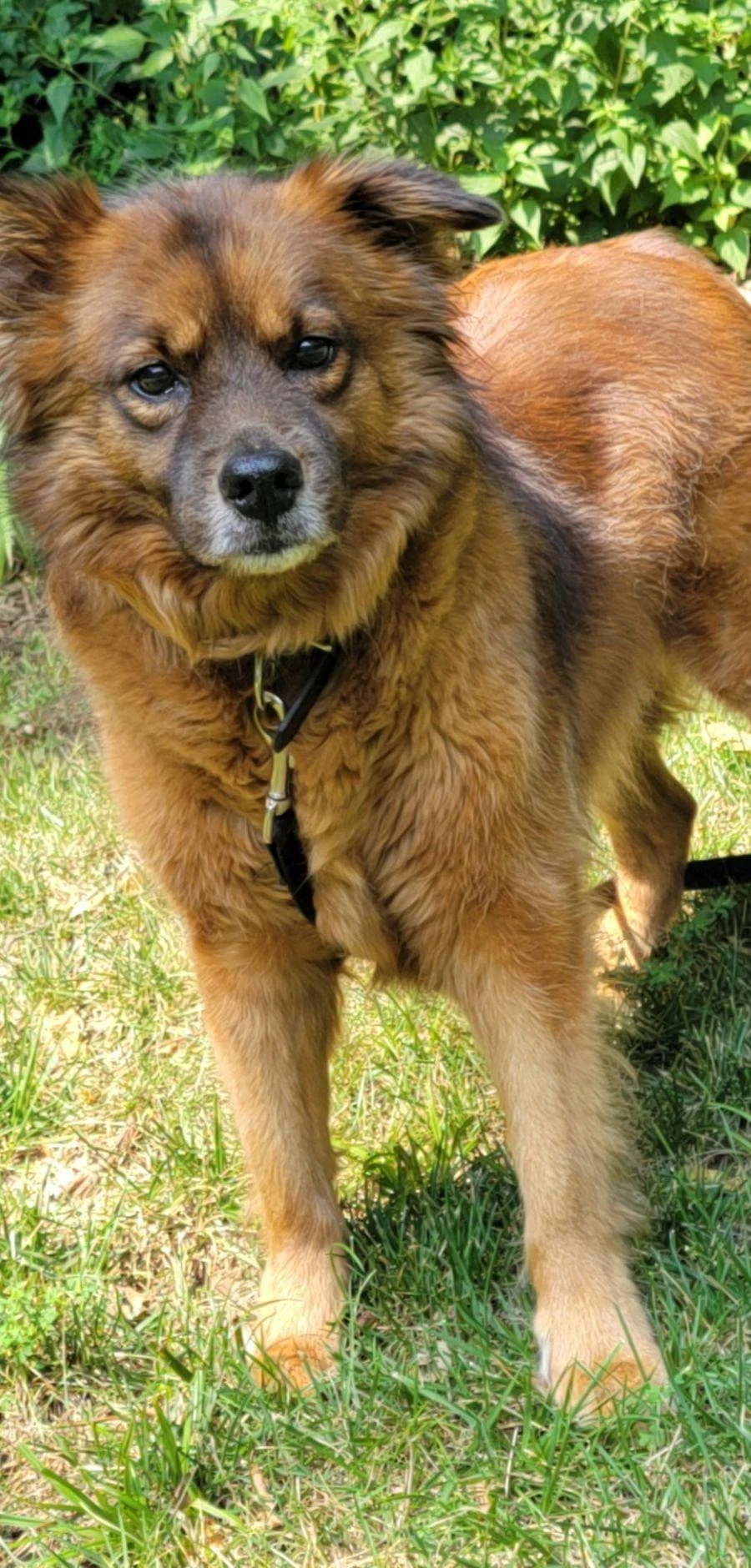 Cutie Pie | Scrolller