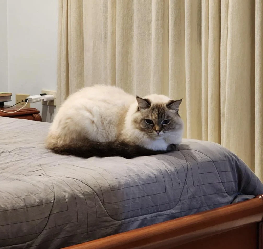 A little igloo shaped loaf | Scrolller