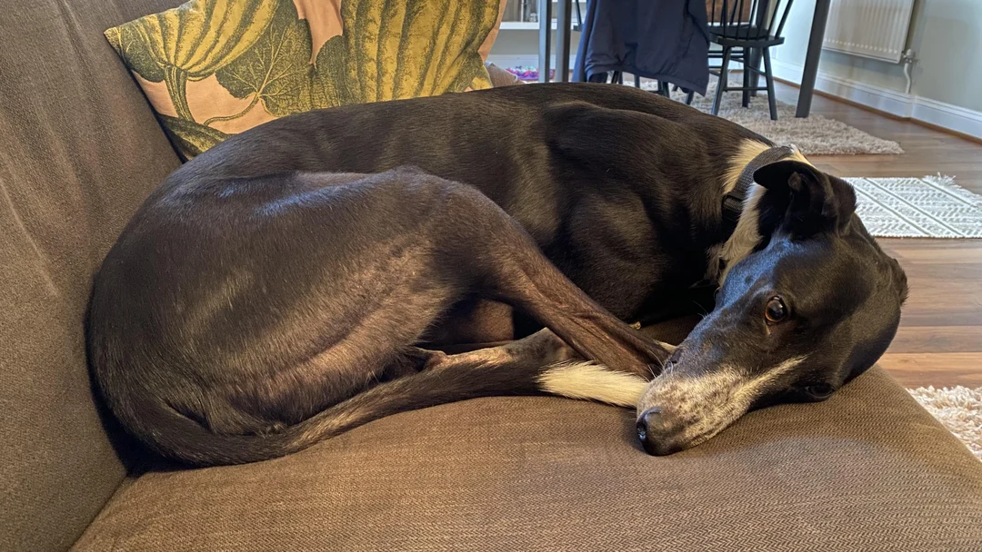 Little bean | Scrolller