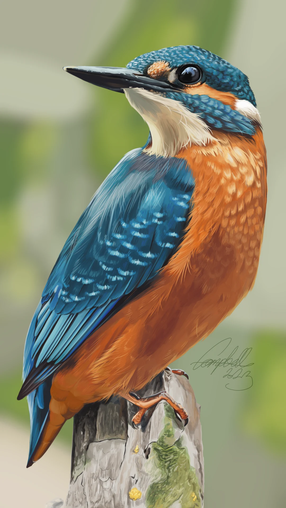 Kingfisher, Me, Digital, 2023 | Scrolller