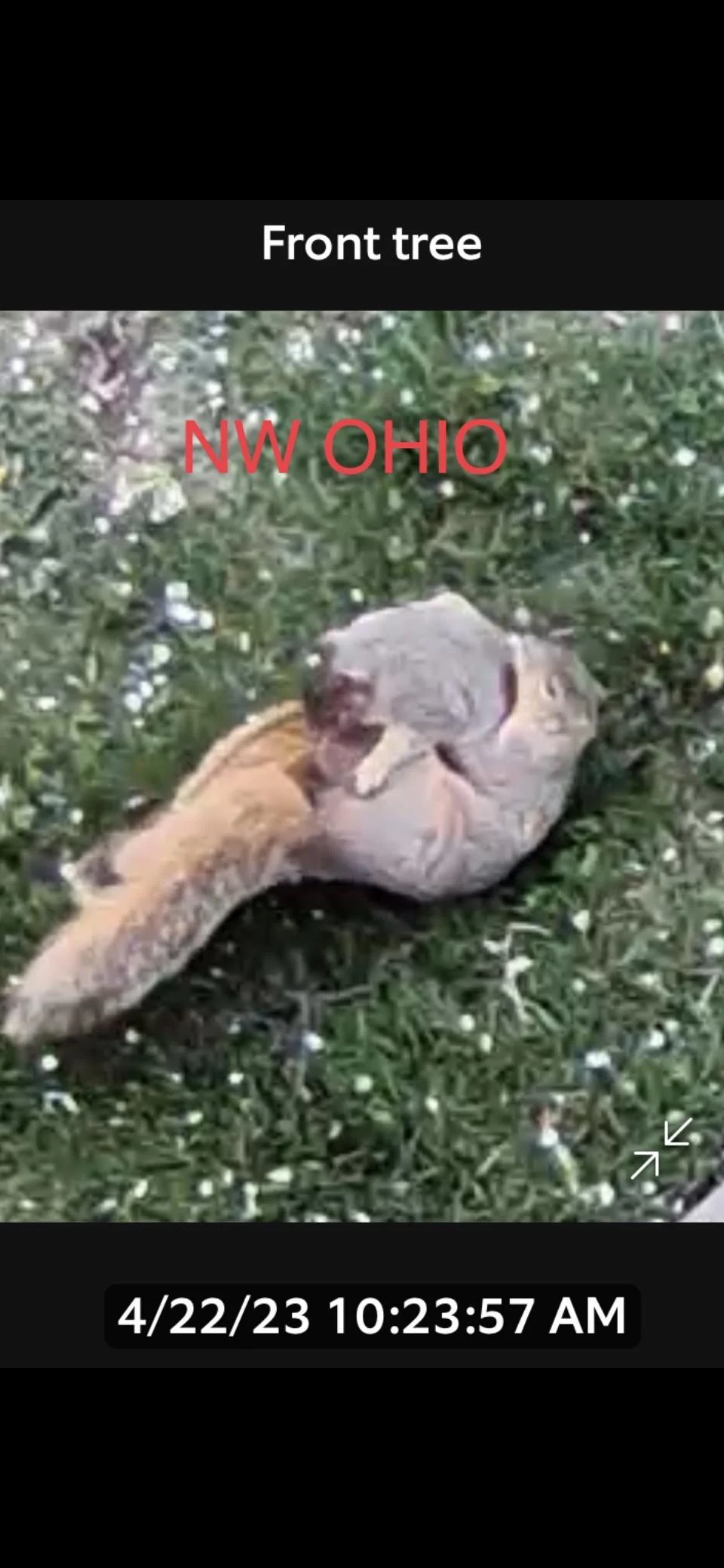 ? Cannibalism. | Scrolller