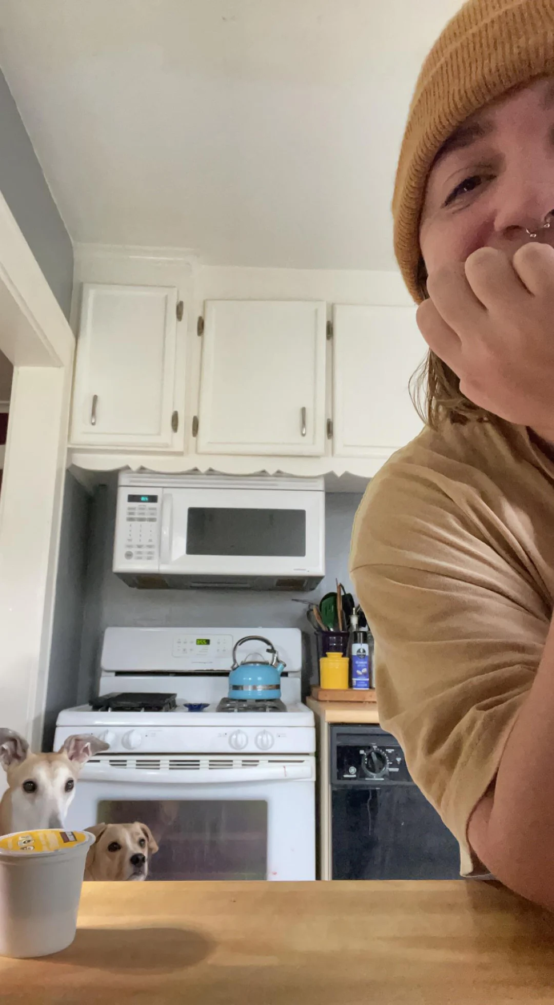 We call her KSI, “Kitchen Scene Investigator” | Scrolller