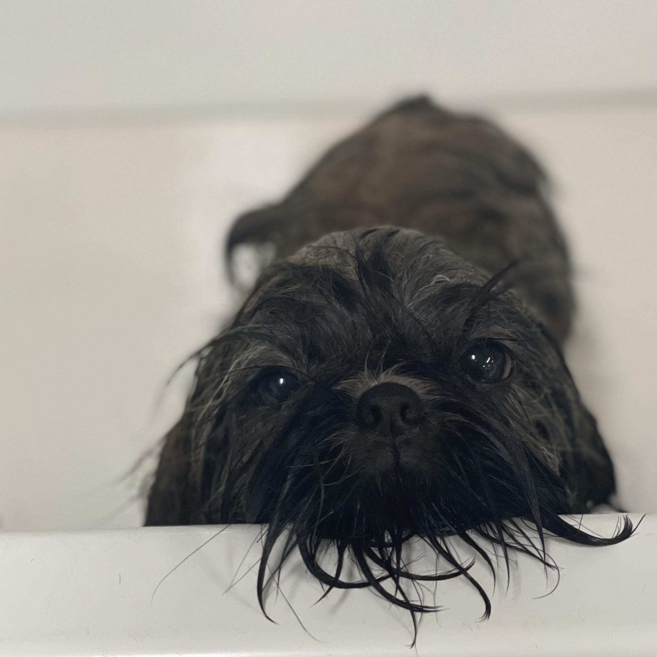 Bath time for the littlest man! | Scrolller