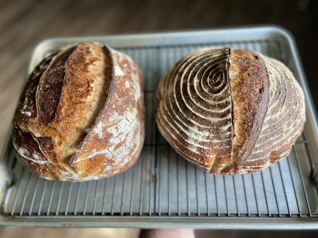 A couple of sourdough country loaves from this week. The tiny ears give me more joy than they ...