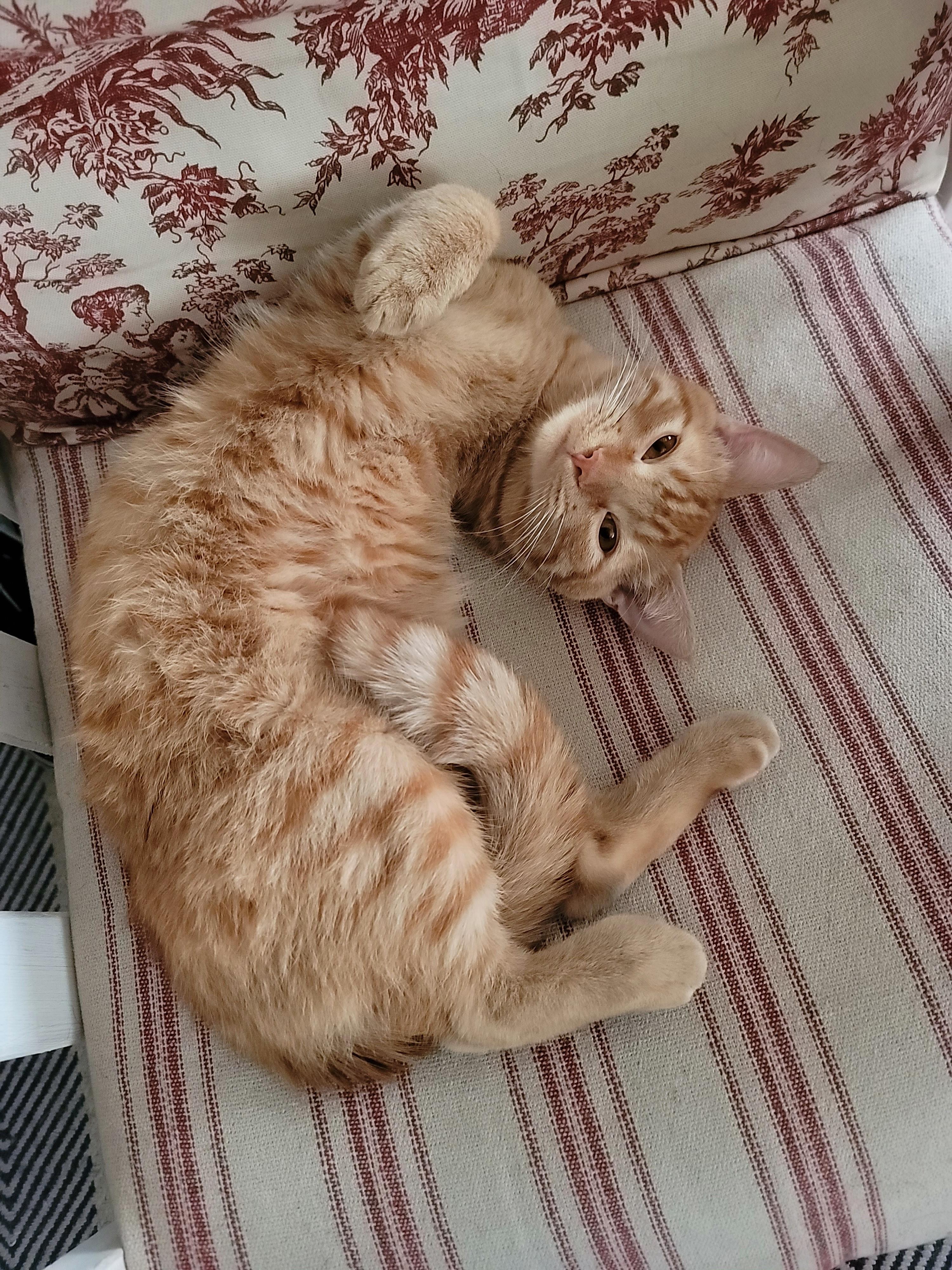 Lil trouble maker | Scrolller