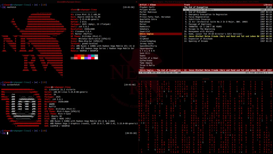 [Cinnamon] NervOS | Scrolller