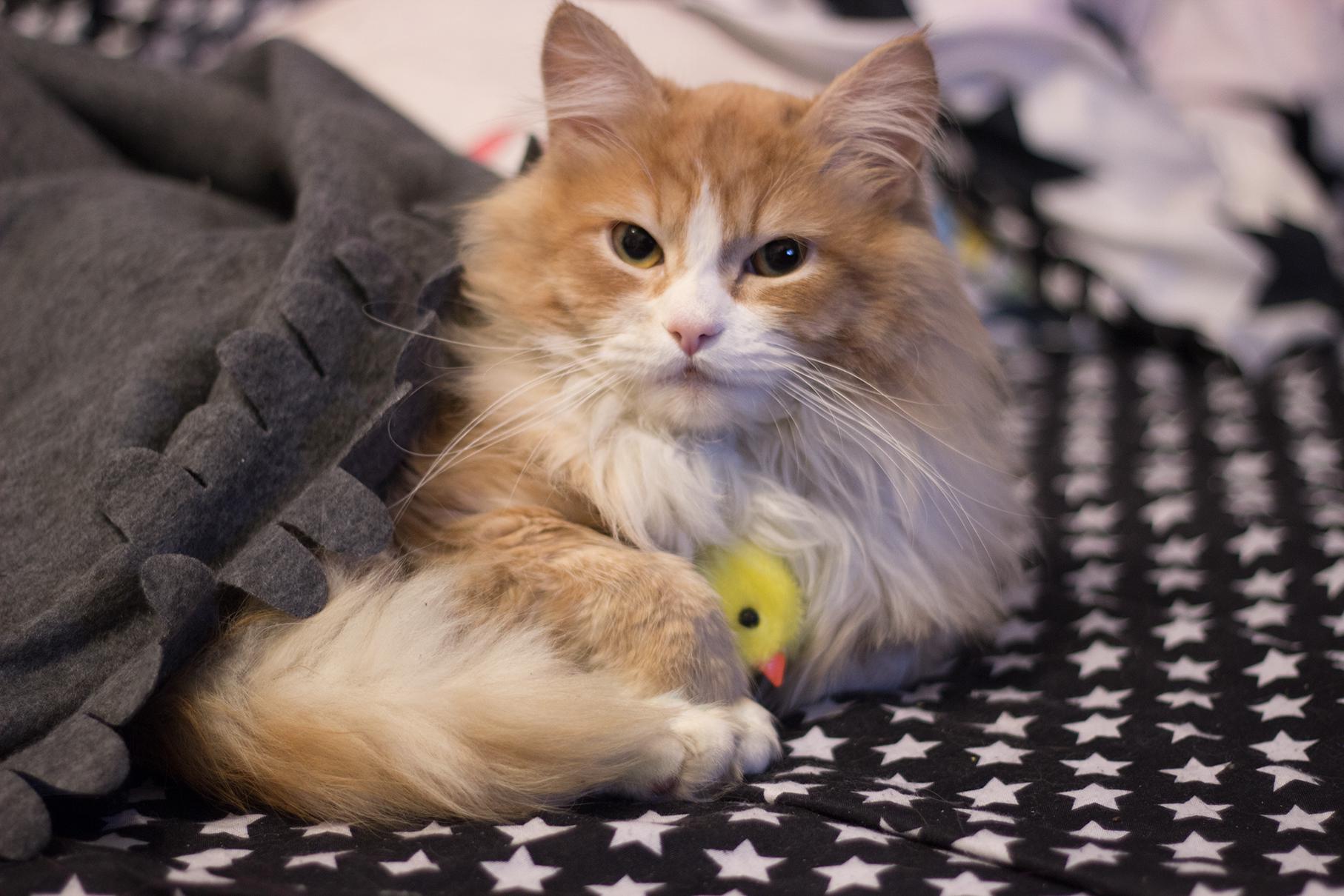 My Pretty Boi At His First Month With Me Now We Live Together For Many