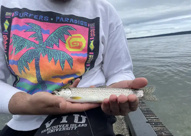 What is this fish? | Scrolller