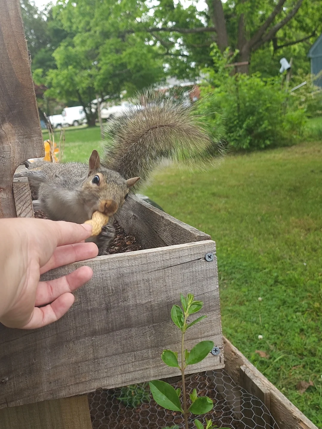 IT HAPPENED! SHE TOOK THE PEANUT! | Scrolller