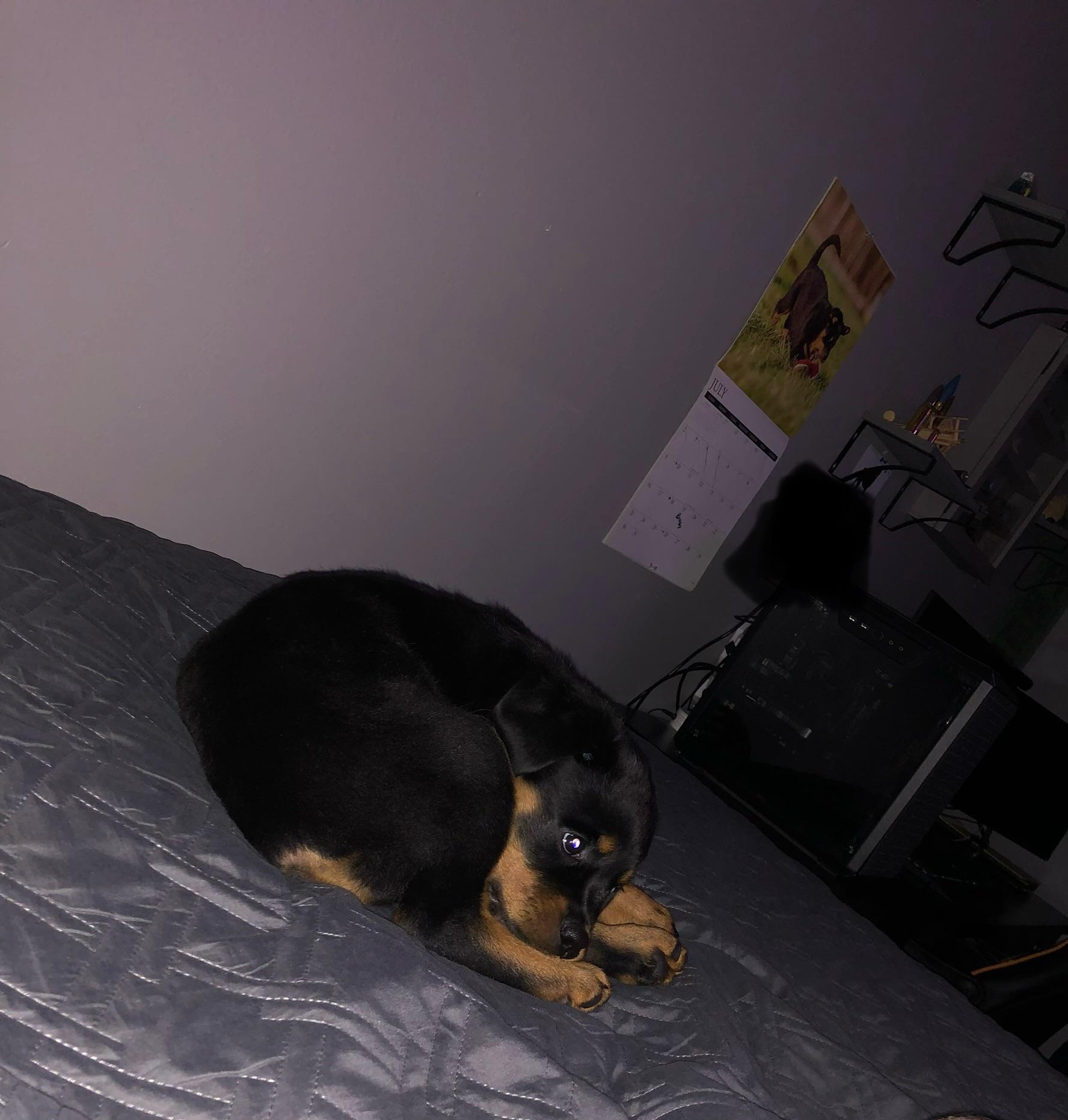 Watching TV | Scrolller