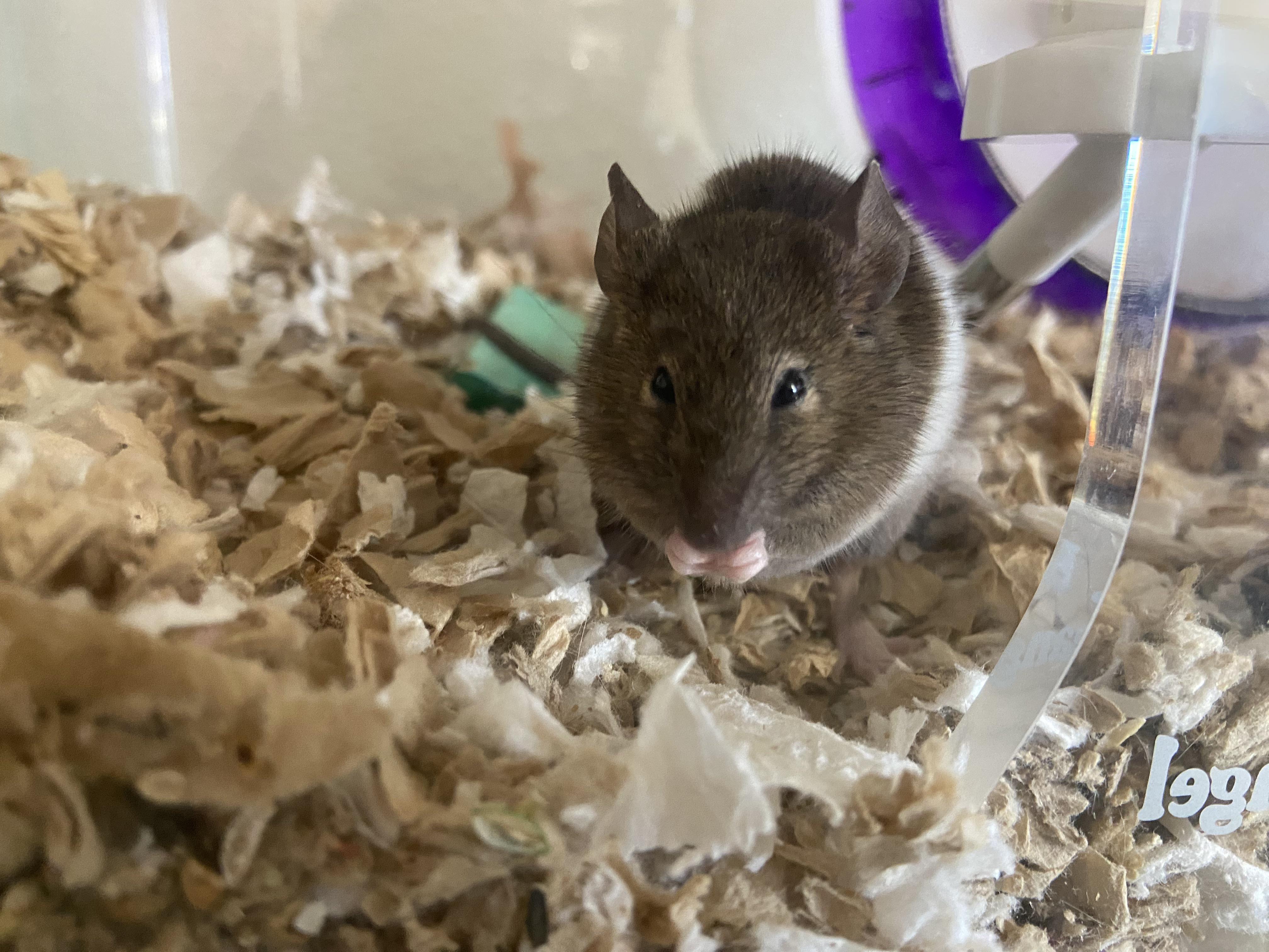 A well-rounded individual | Scrolller