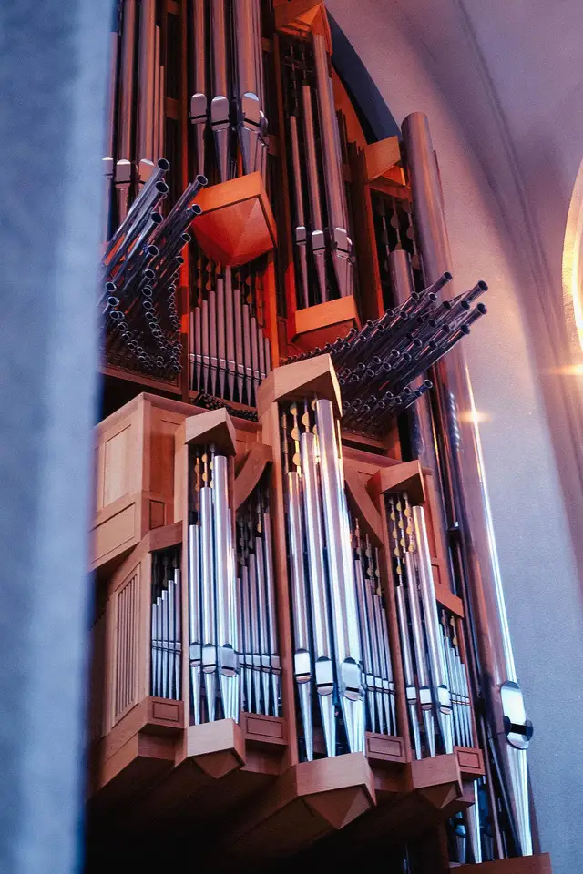 Organ from Iceland | Scrolller