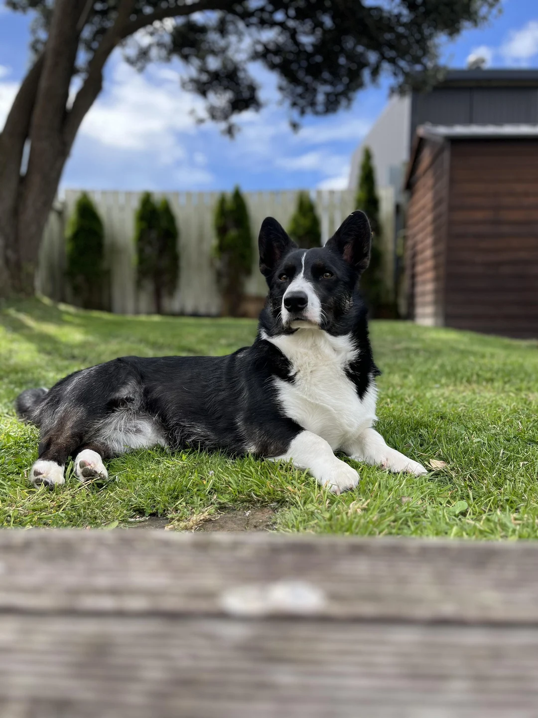 At his most handsome | Scrolller