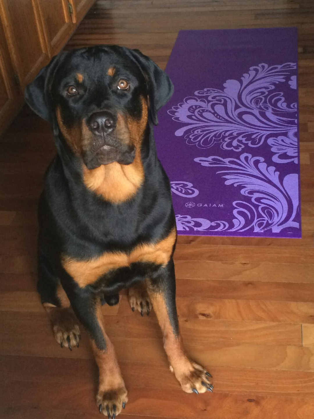 I'll always miss you Lex | Scrolller