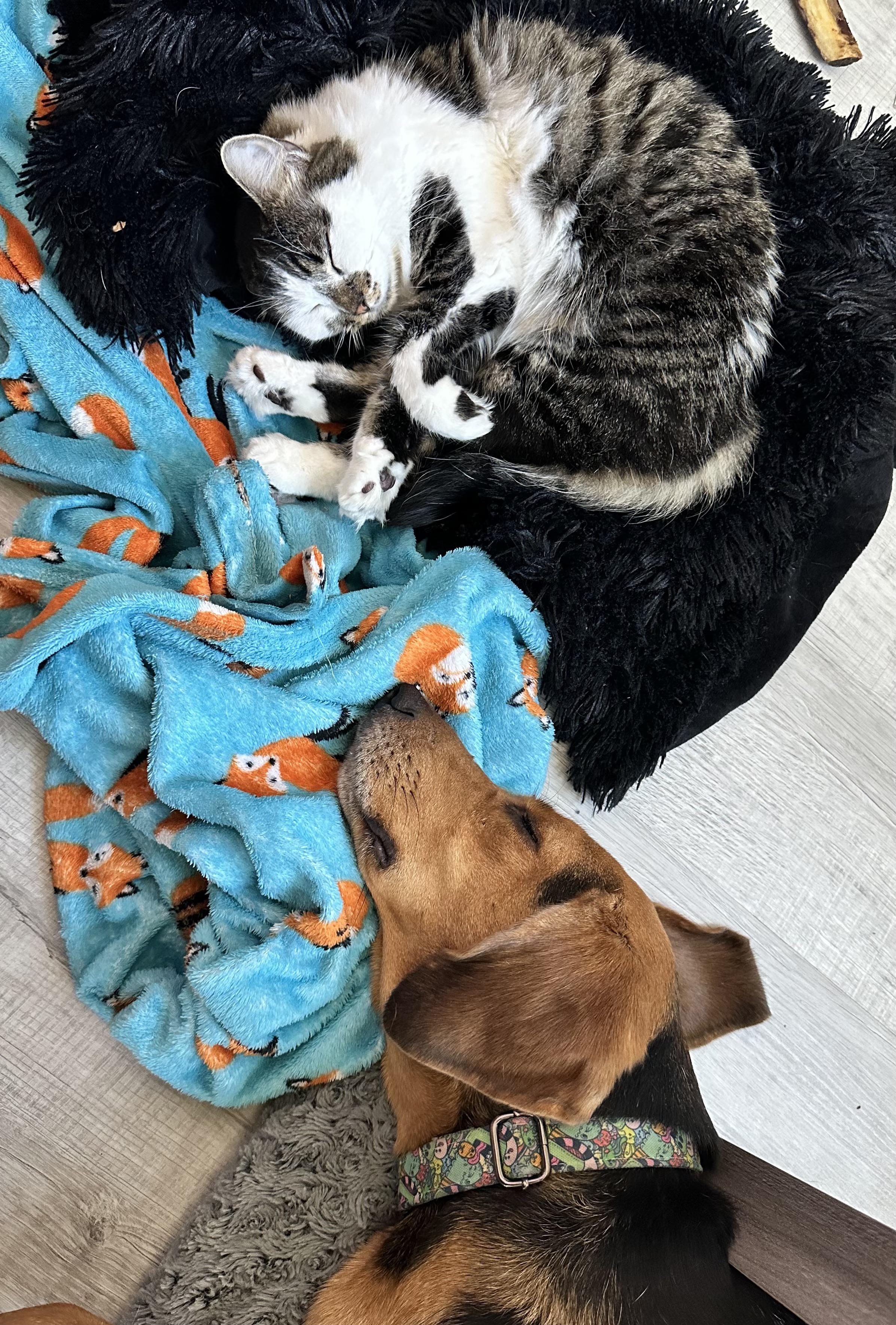 Captain Beans & Bing Bong know how to spend a lazy Sunday | Scrolller