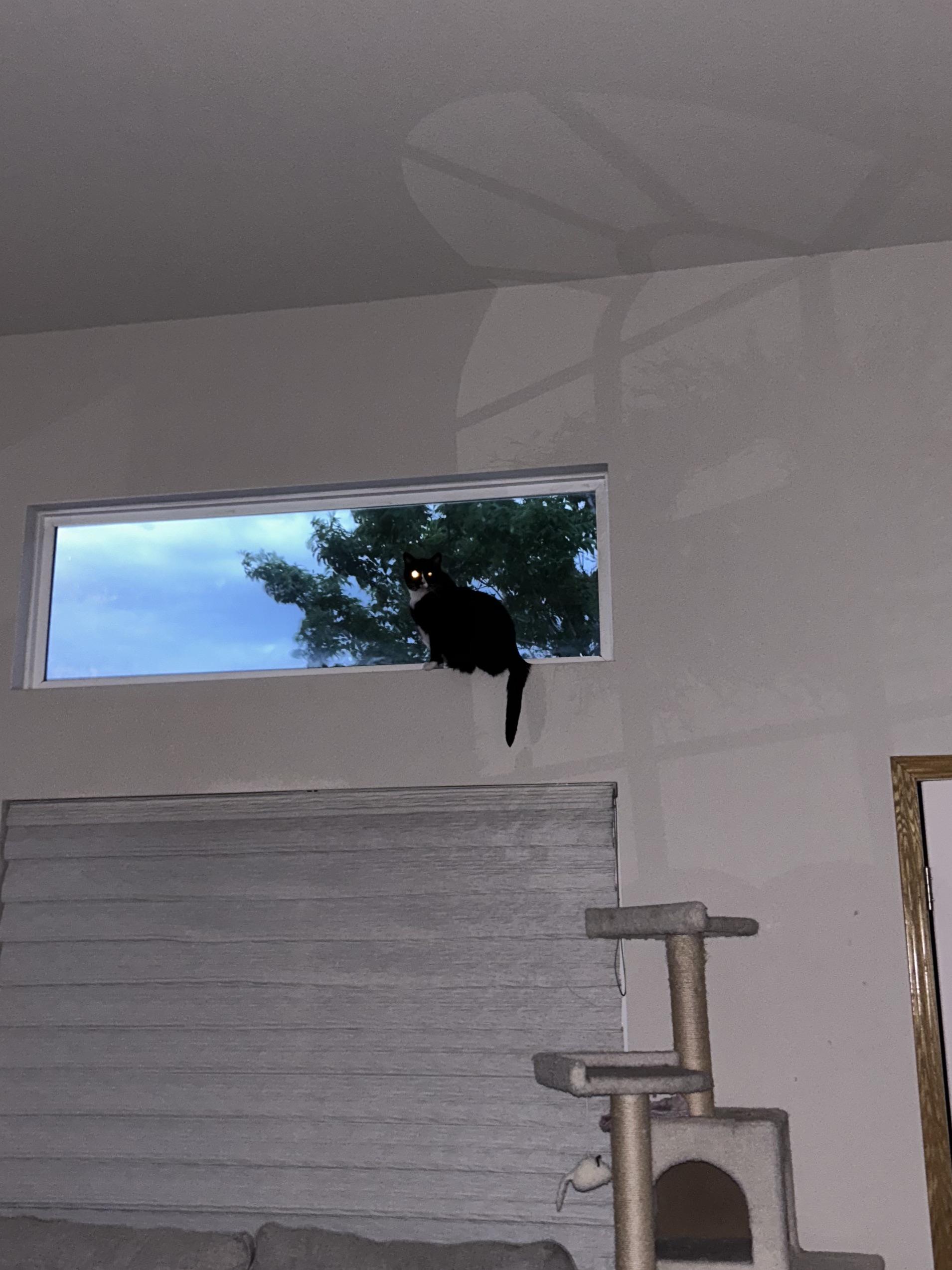 She’s watching you | Scrolller