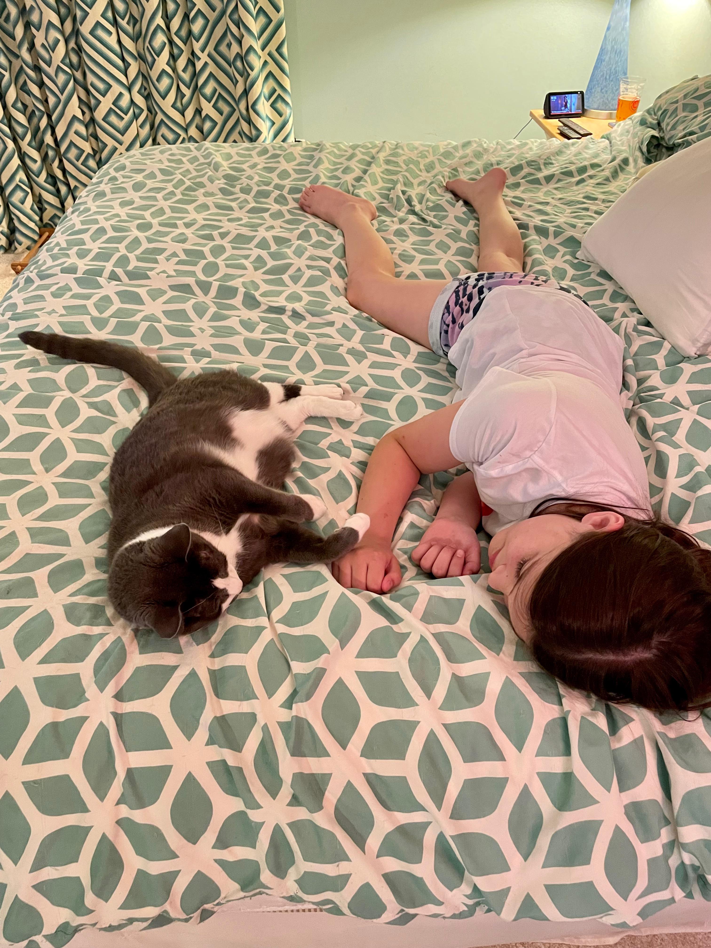 My kittens | Scrolller