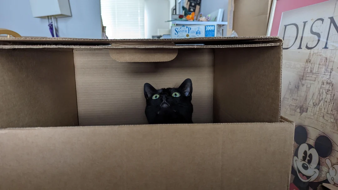 She's got real "child in a blanket fort" energy with these boxes 📦 | Scrolller