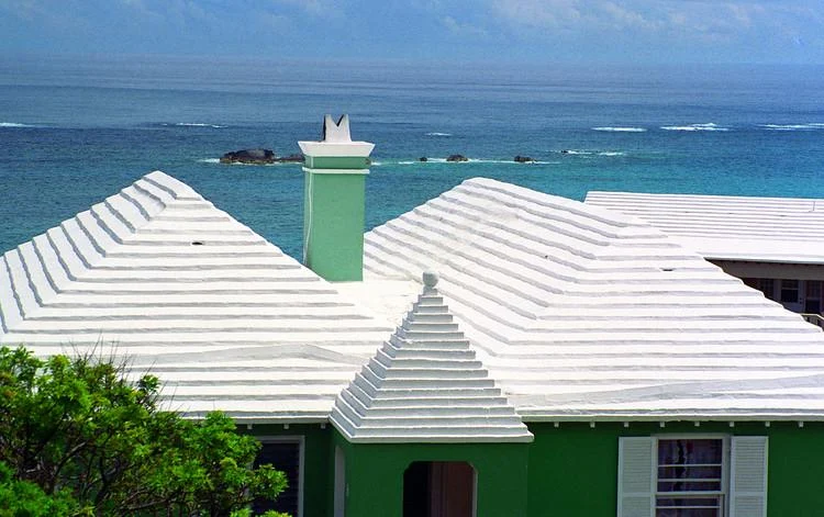 White roof | Scrolller