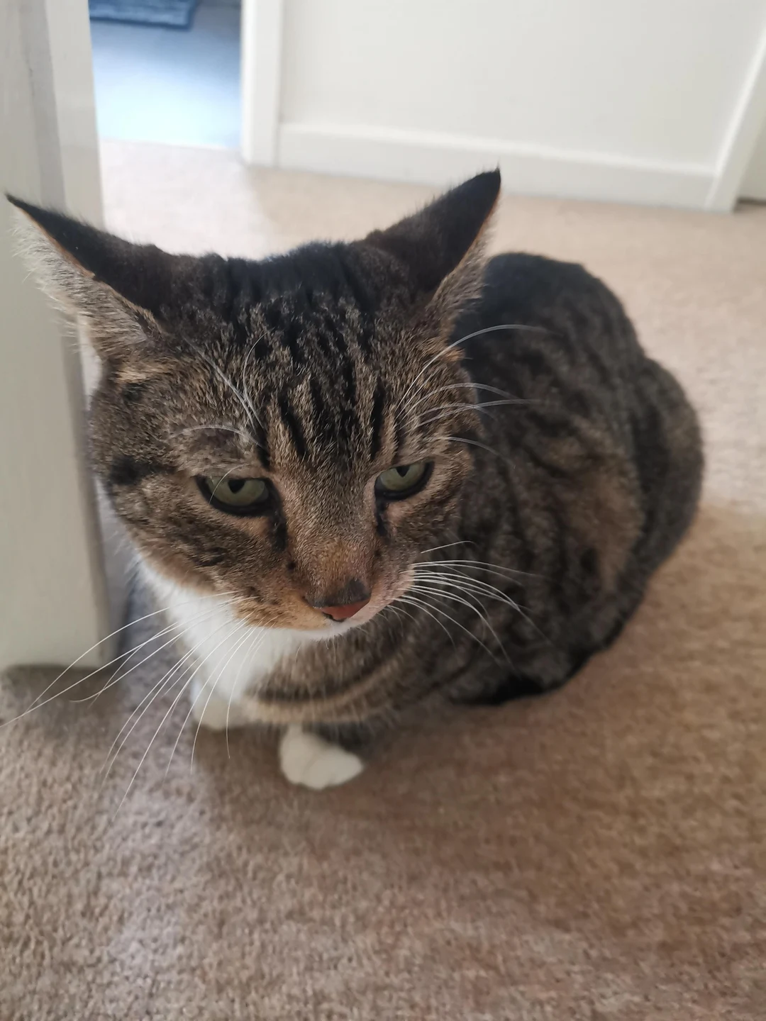 Moody loaf | Scrolller