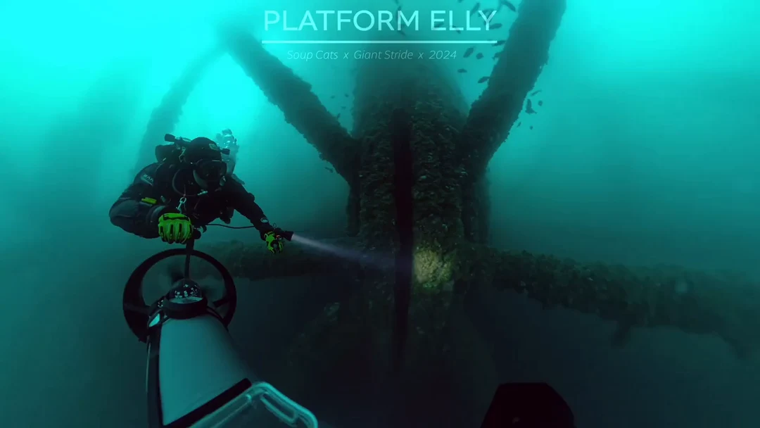 There is nothing more fun than diving | Scrolller