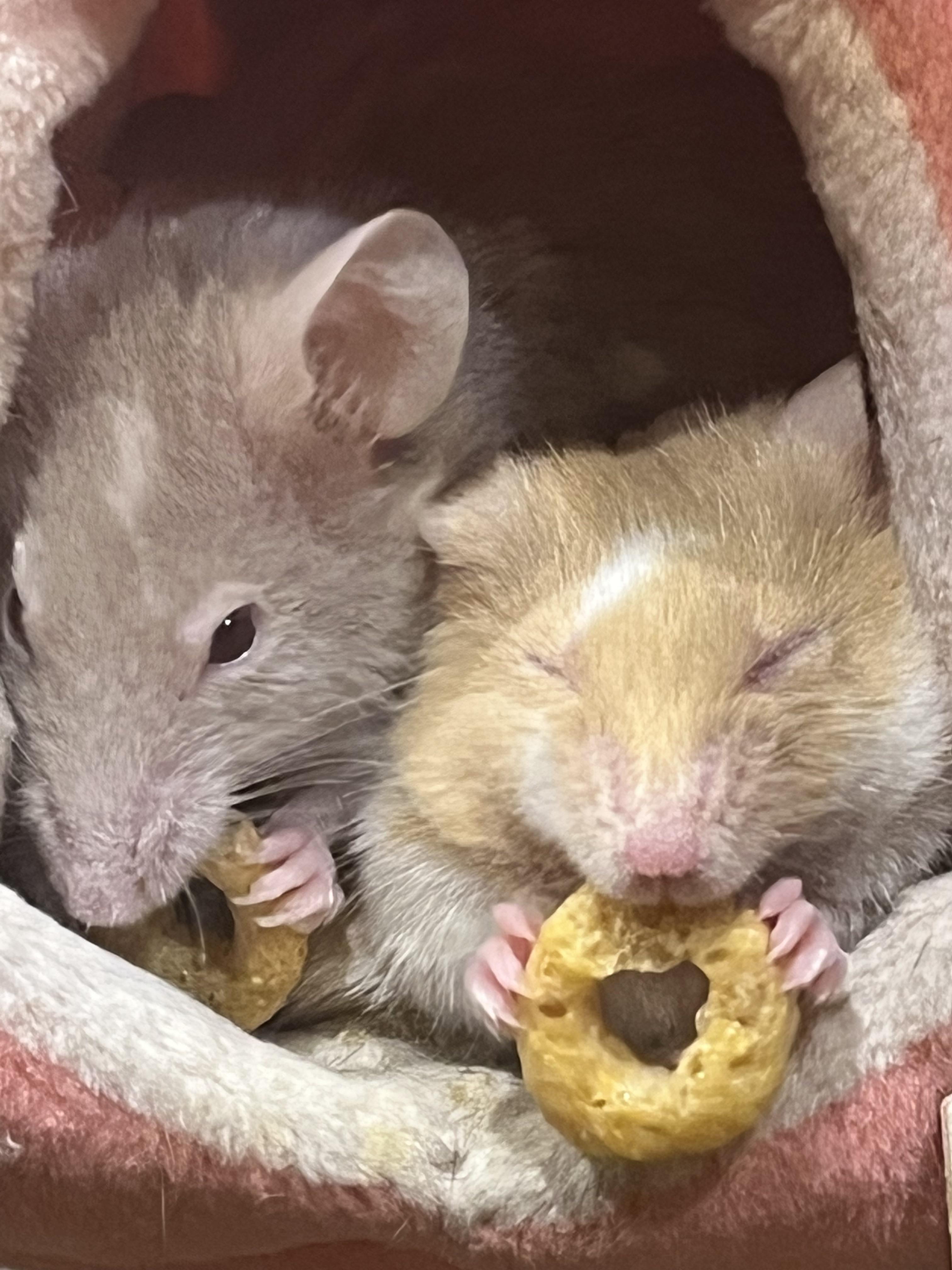 Cheerio time | Scrolller