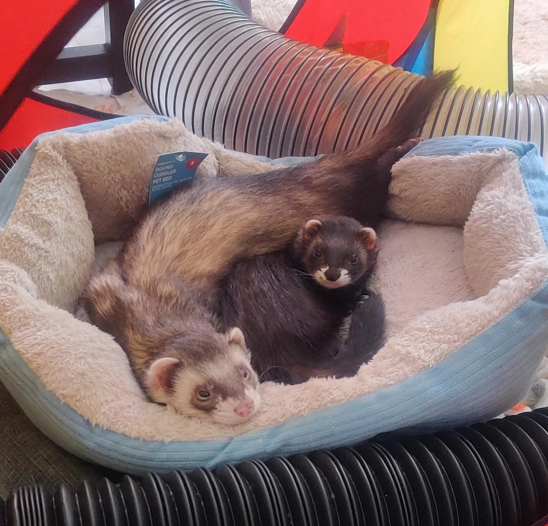 Suzan likes to sleep in her own, but her uncle isn't big on boundaries | Scrolller