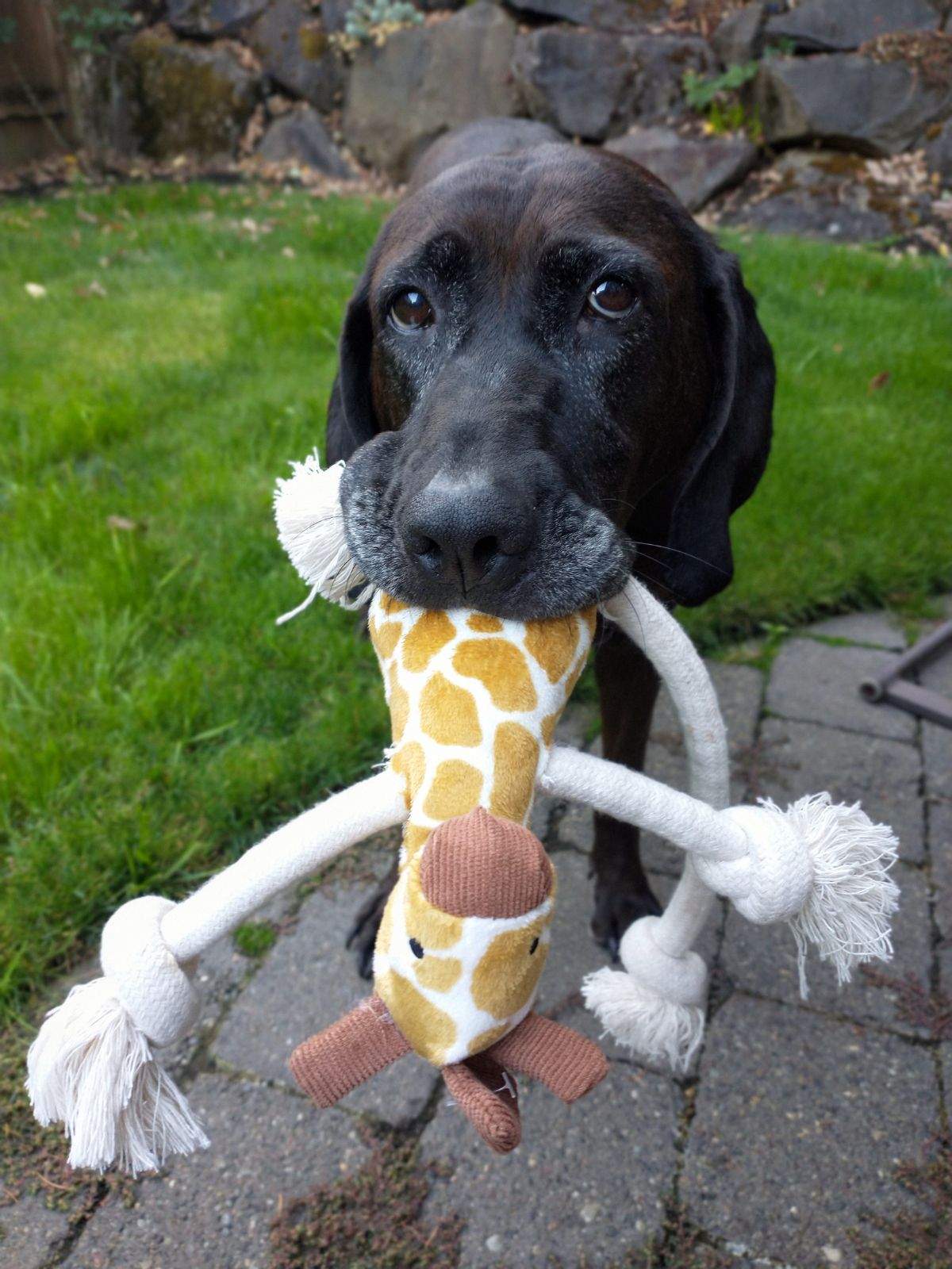 She is so sweet | Scrolller