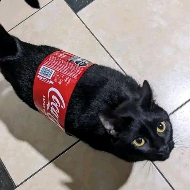 My favourite coca cola 😸 | Scrolller