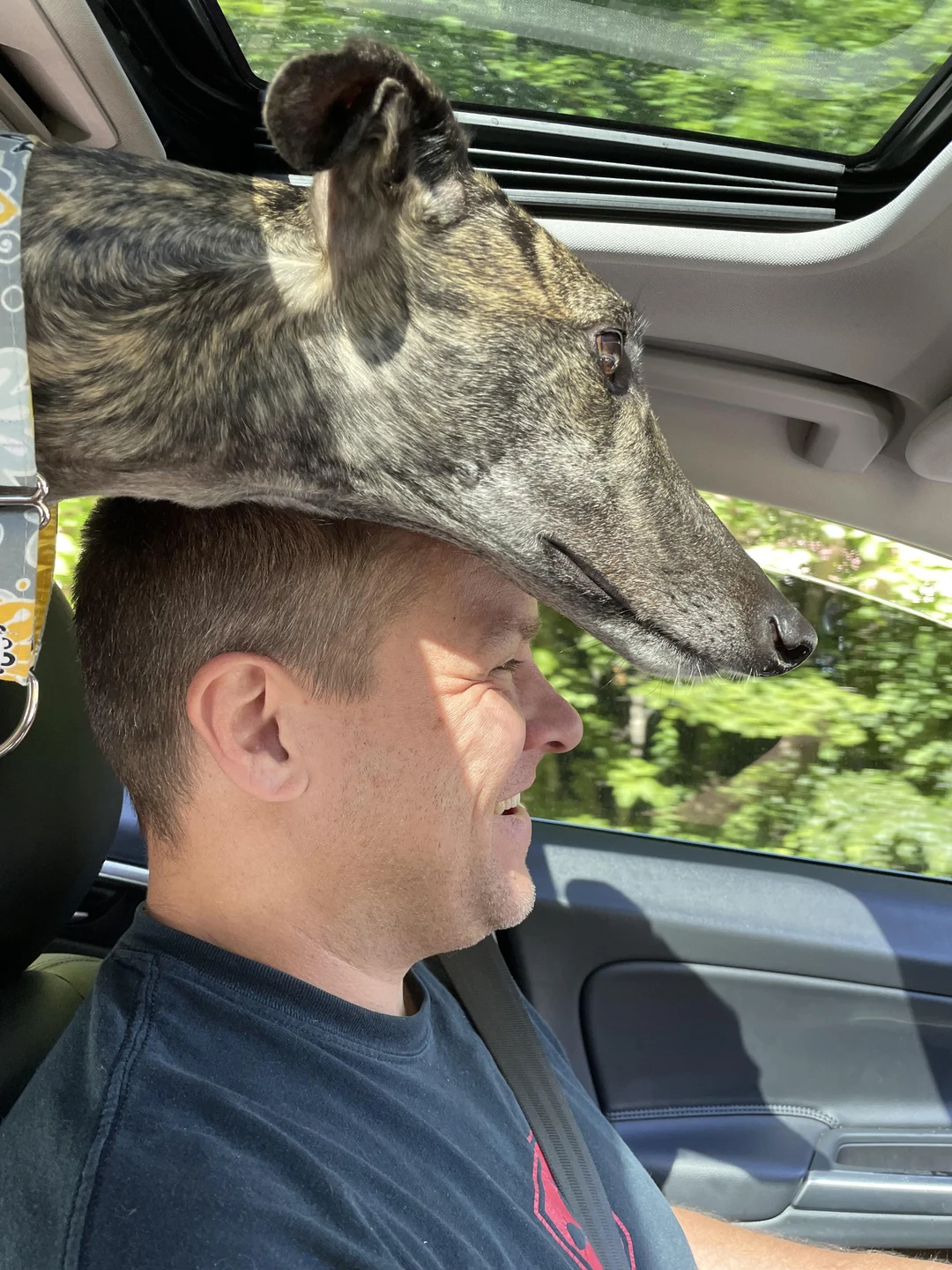 Backseat driver | Scrolller