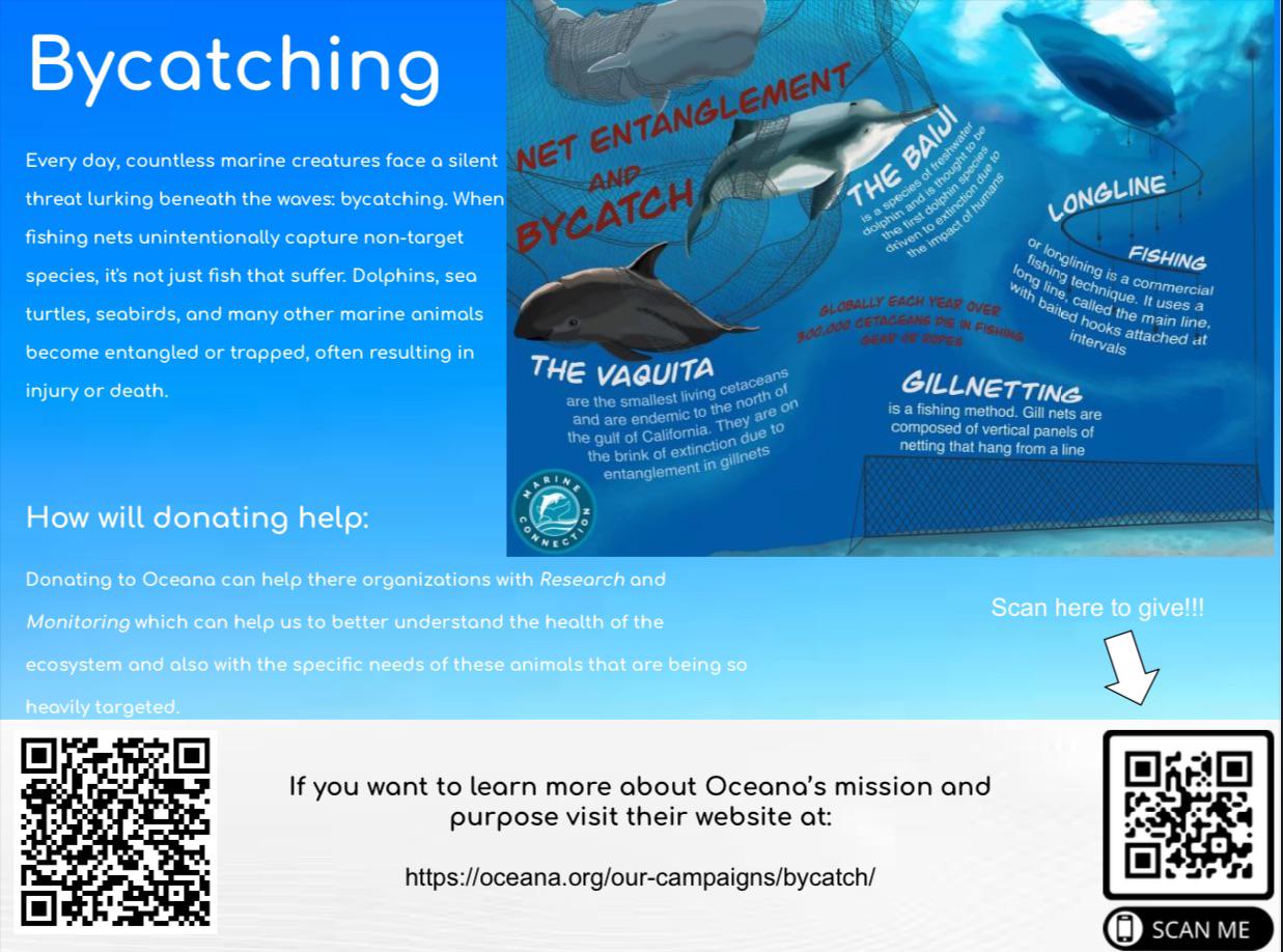 Please Help!!! Just scan both QR codes!!! | Scrolller